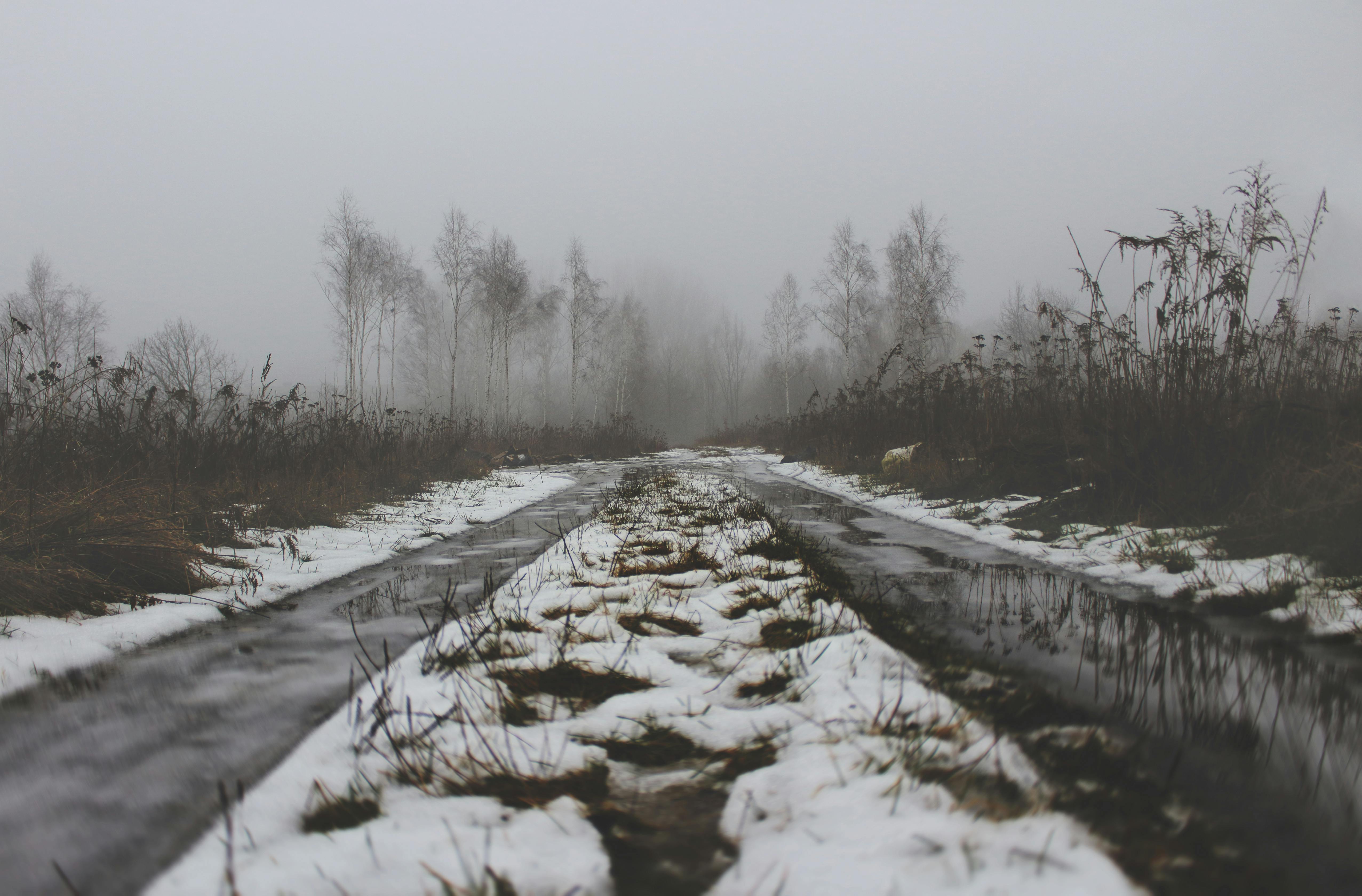 Low Angle Photo of Road With Snow · Free Stock Photo