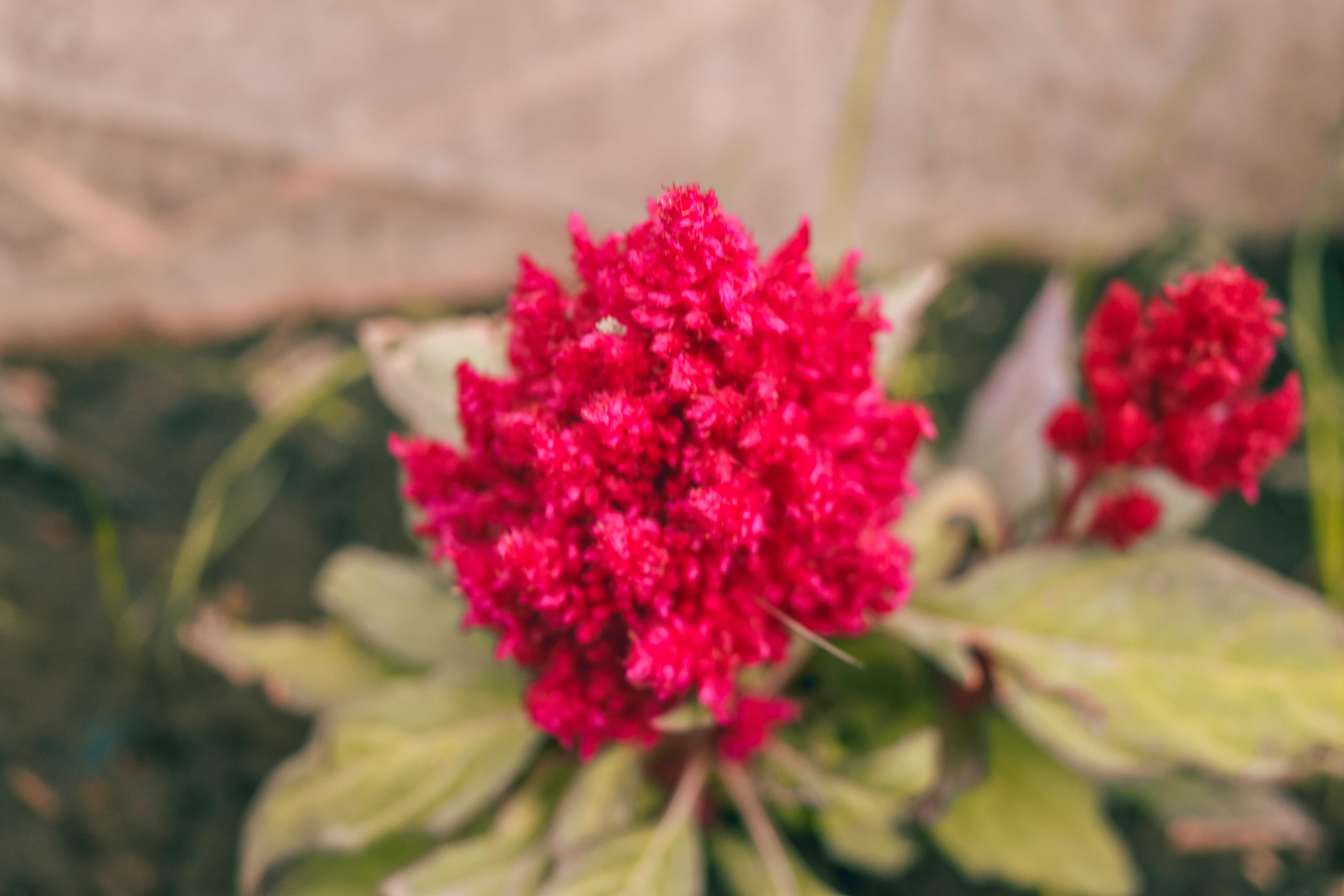 iox Morillo - 摄影