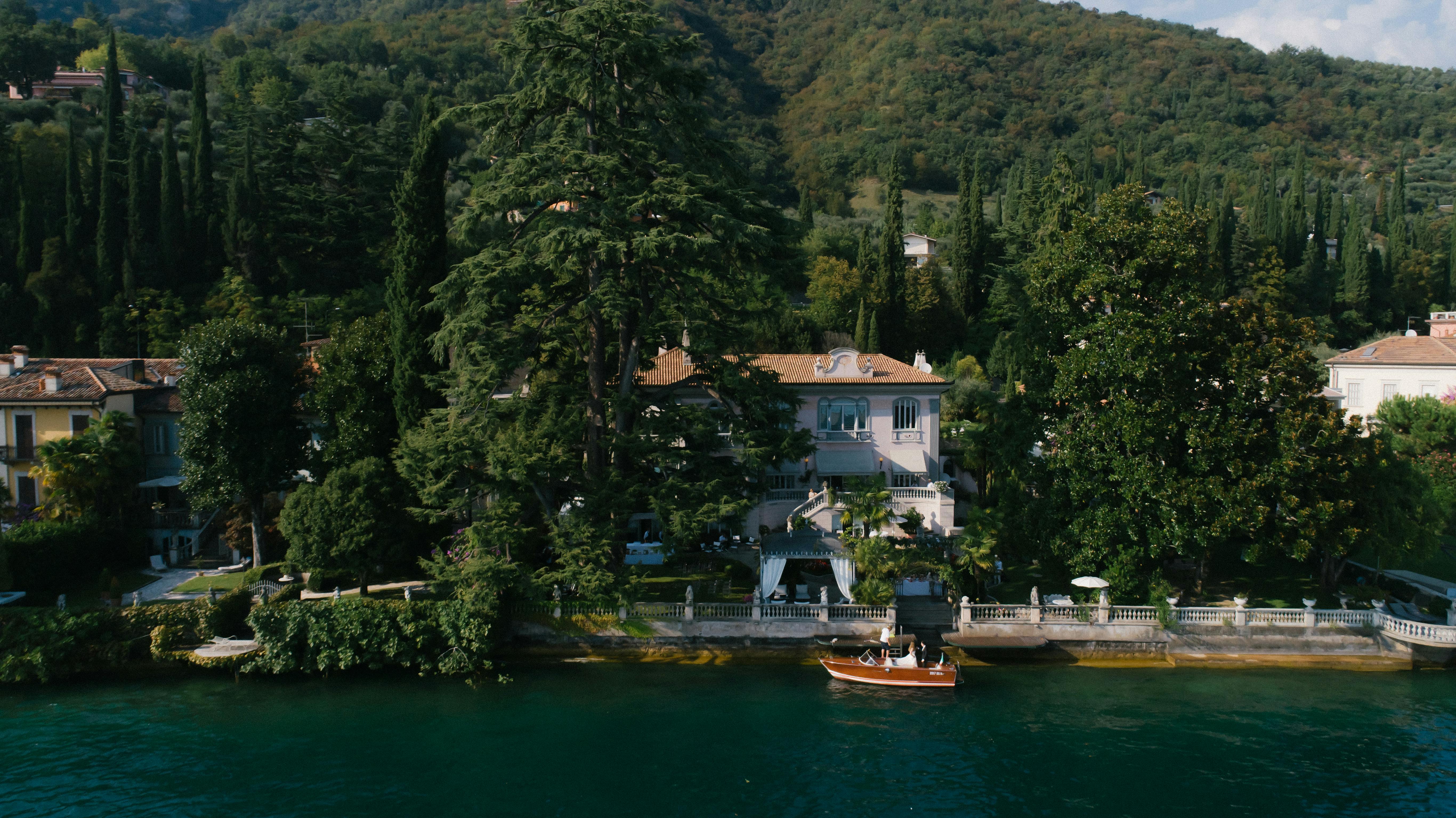 House Hidden by a Tree Next to the Shore · Free Stock Photo