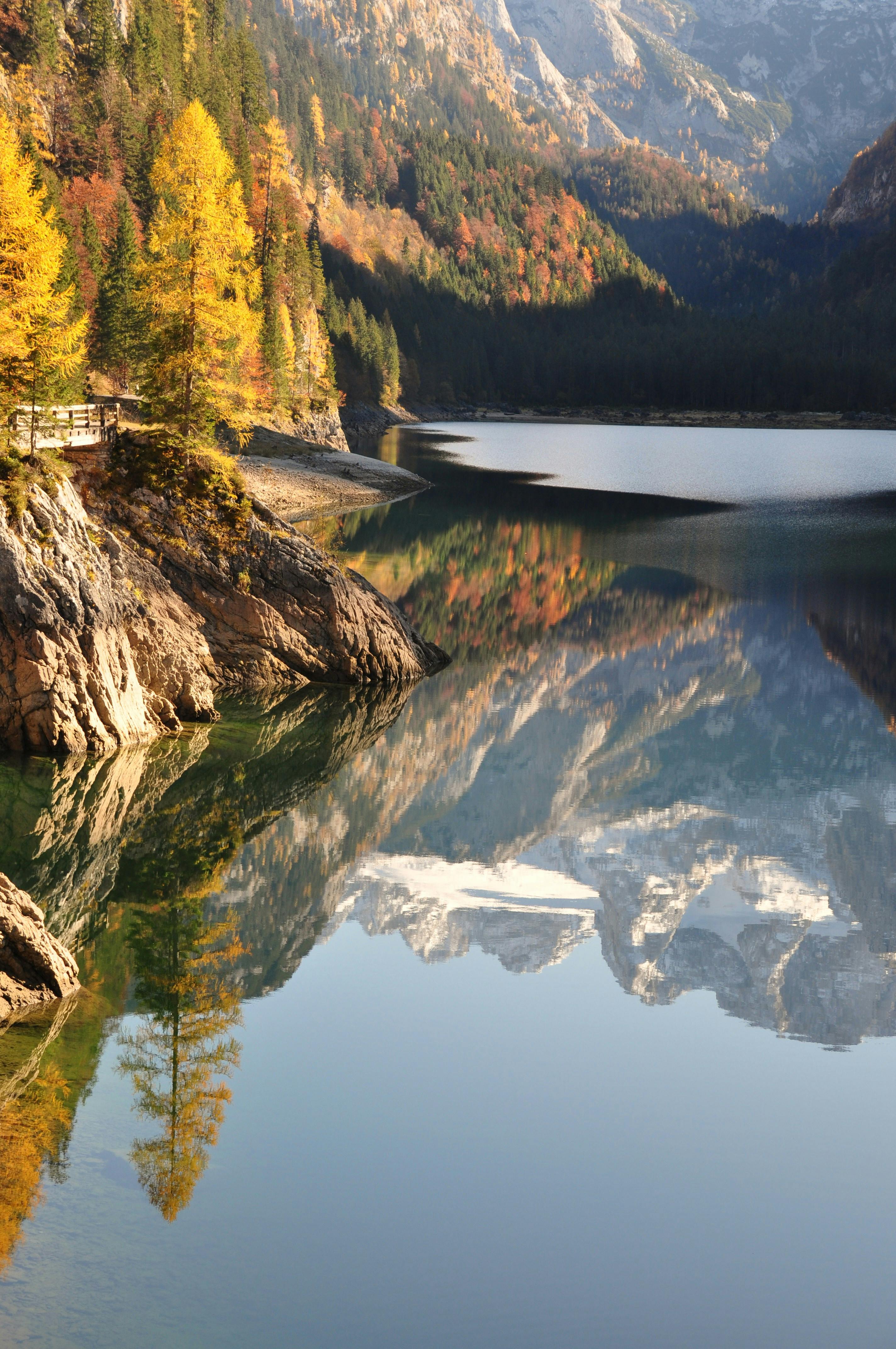 Trees on Rock Cliff Near River · Free Stock Photo