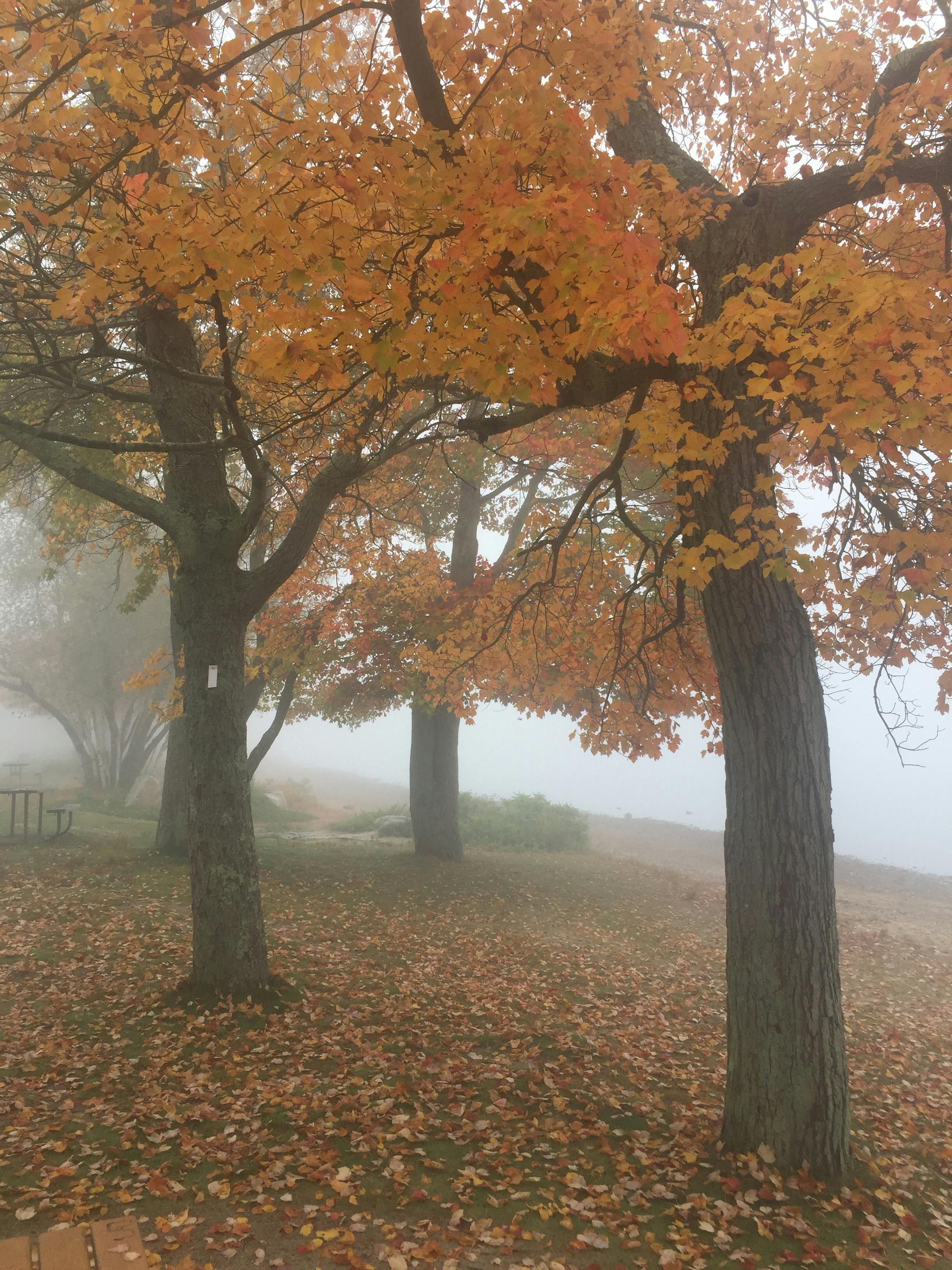 Cathy Copeland Titus – Fotografia