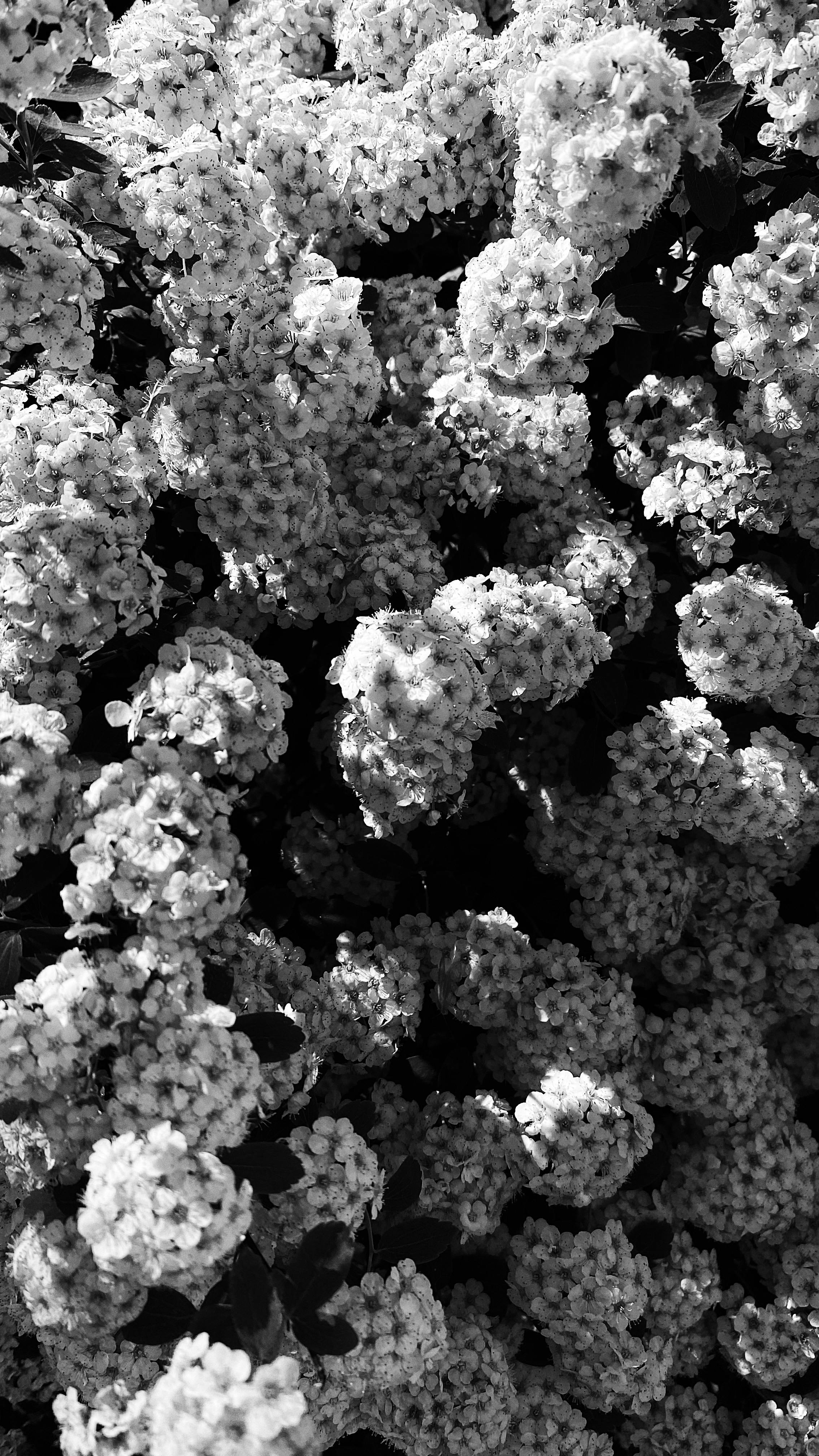 452,380+ Best Free Vertical background Stock Photos & Images · 100% ...