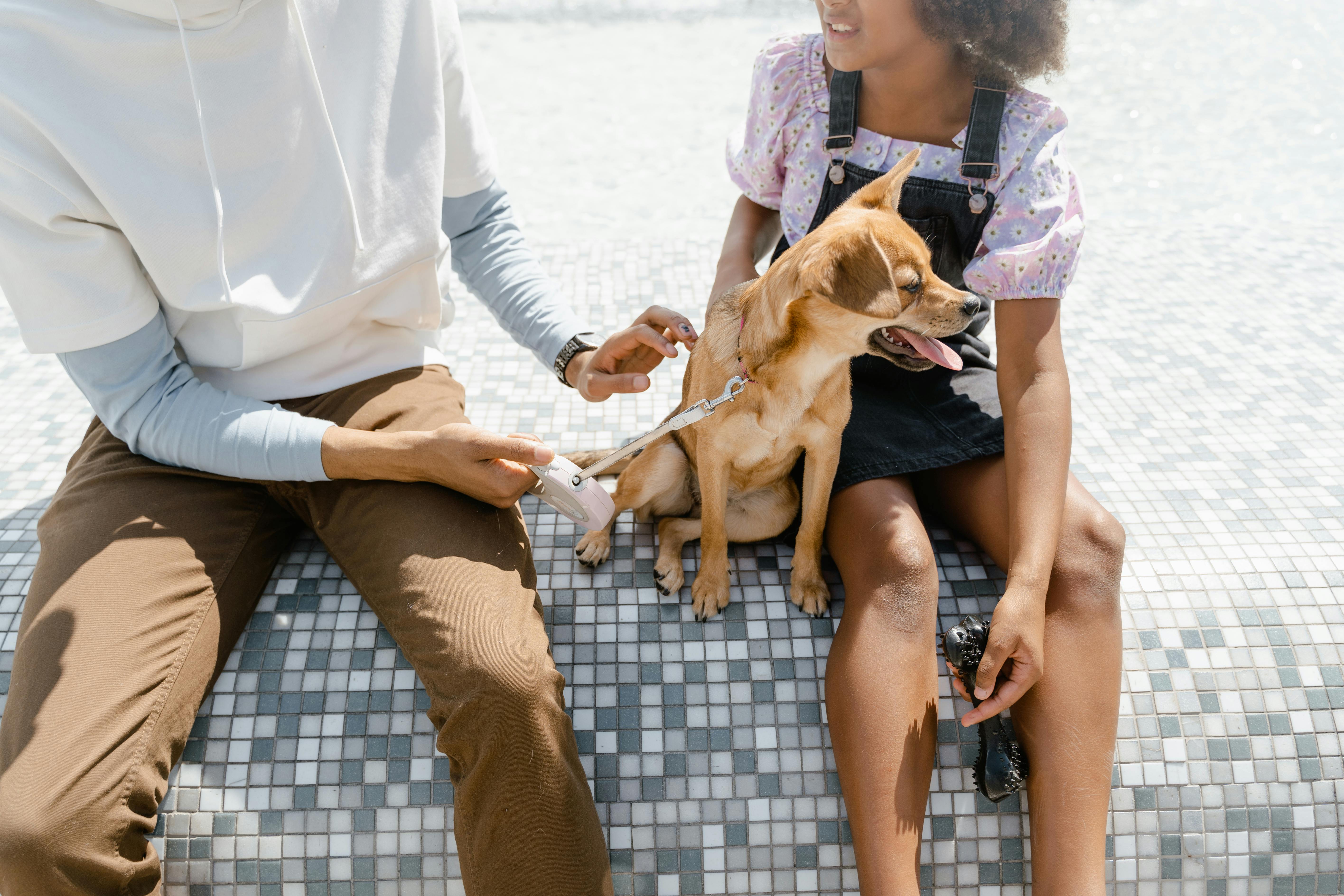 20,000+ Best Pet Adoption Photos · 100% Free Download · Pexels Stock Photos