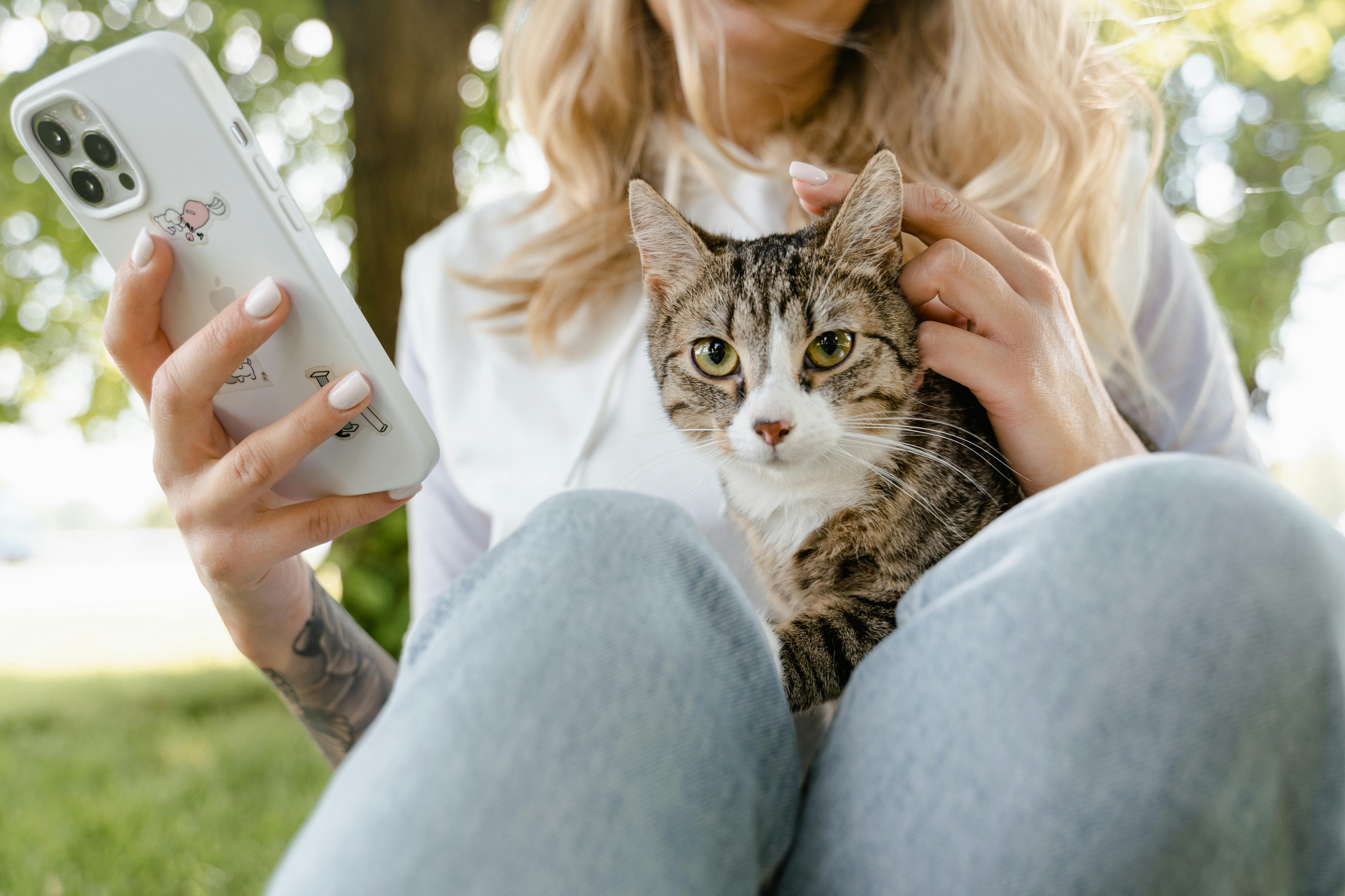 Close-Up Shot of a Woman Holding a Cellphone with Her Tabby Cat · Free ...
