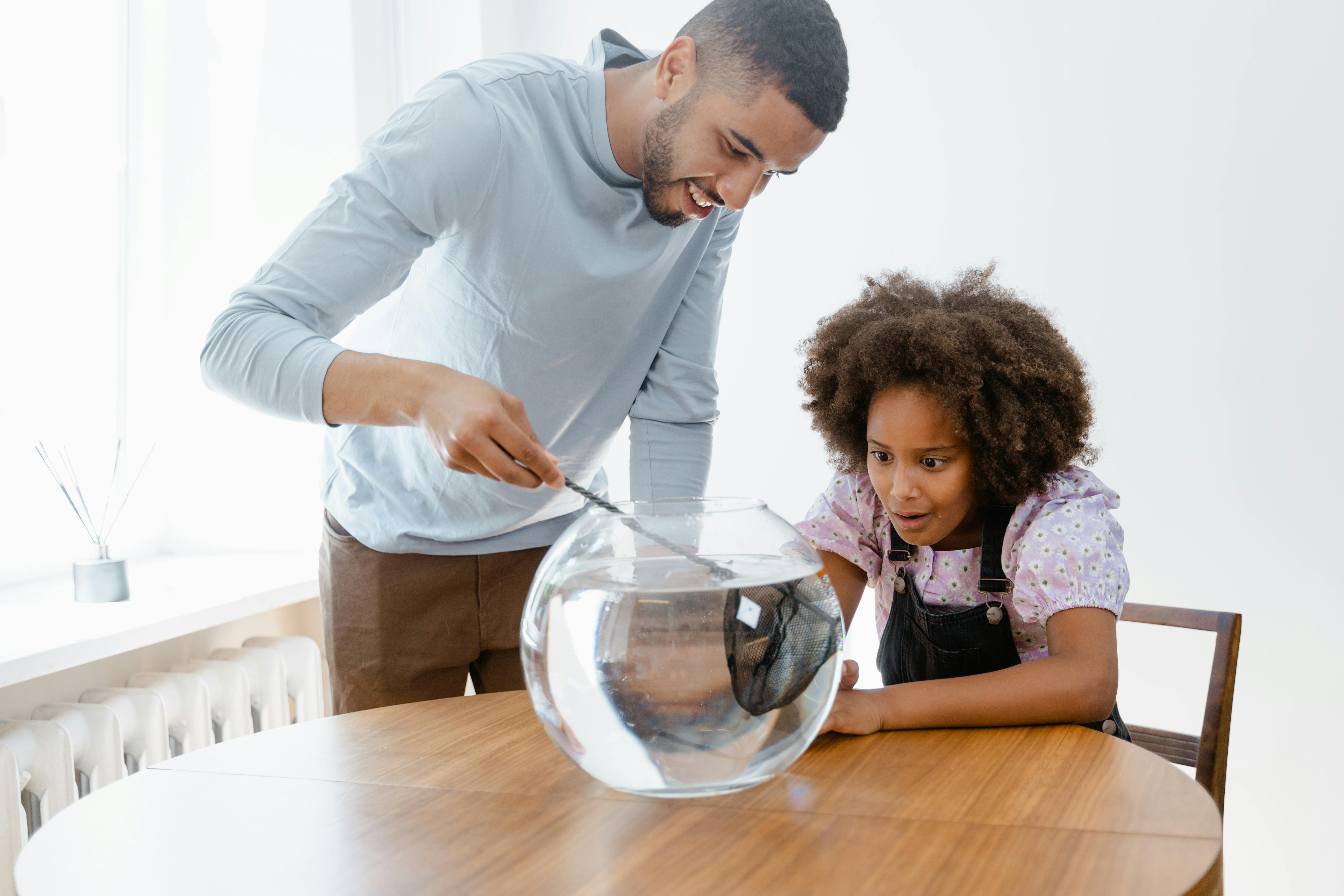 Man Putting Fish in Fishbowl · Free Stock Photo