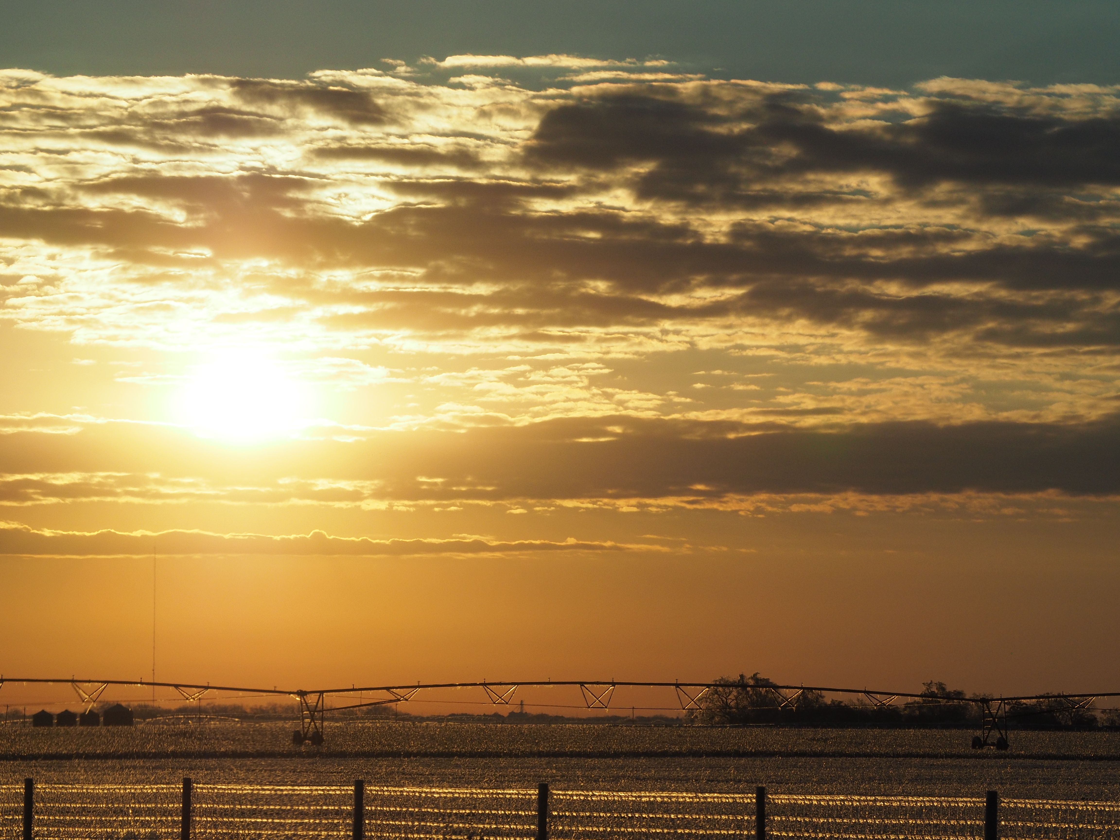Beautiful Sunset Over a Field · Free Stock Photo
