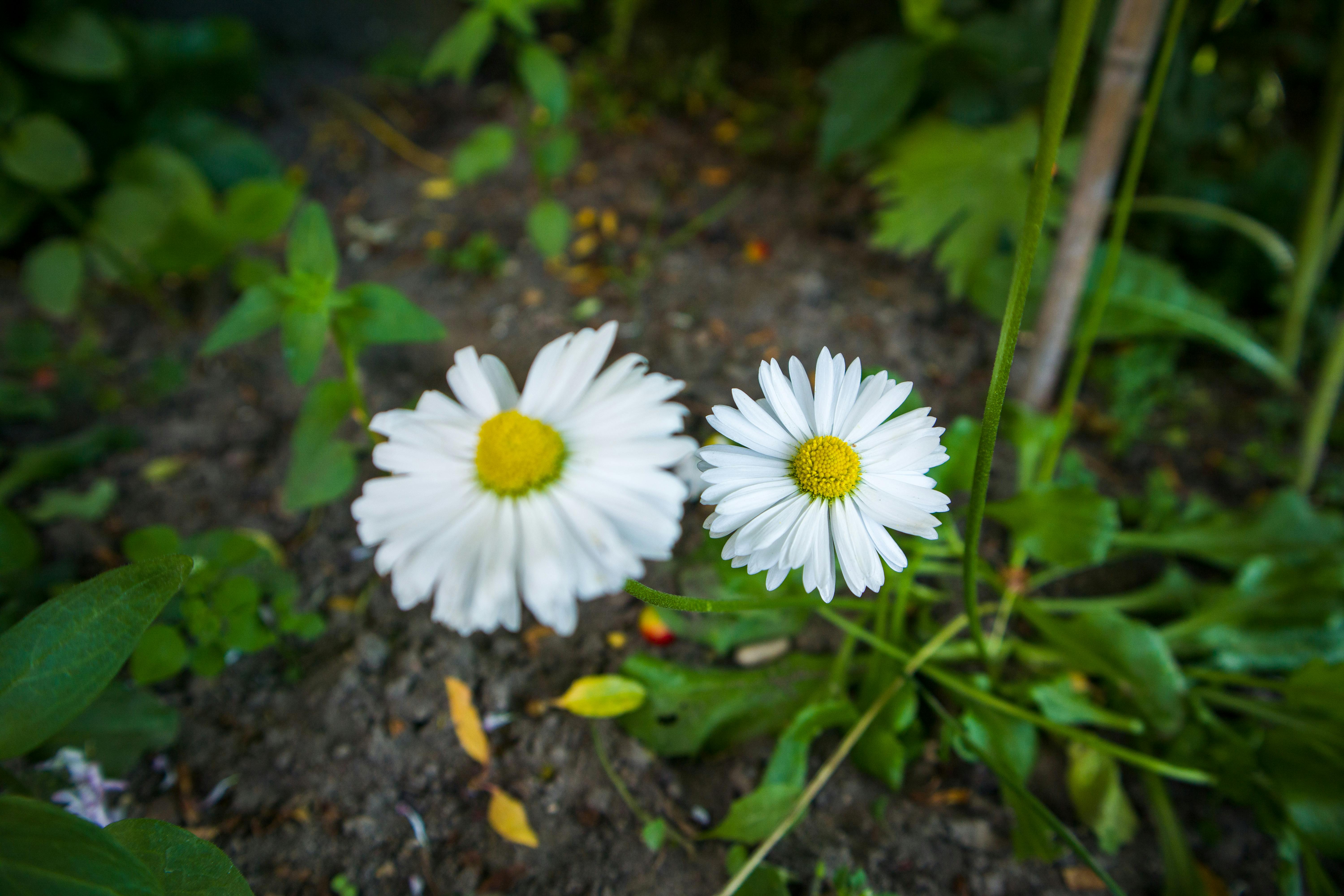 Biova Nakou · Photography