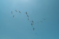 More 170 Winced Synonyms. Similar words for Winced.