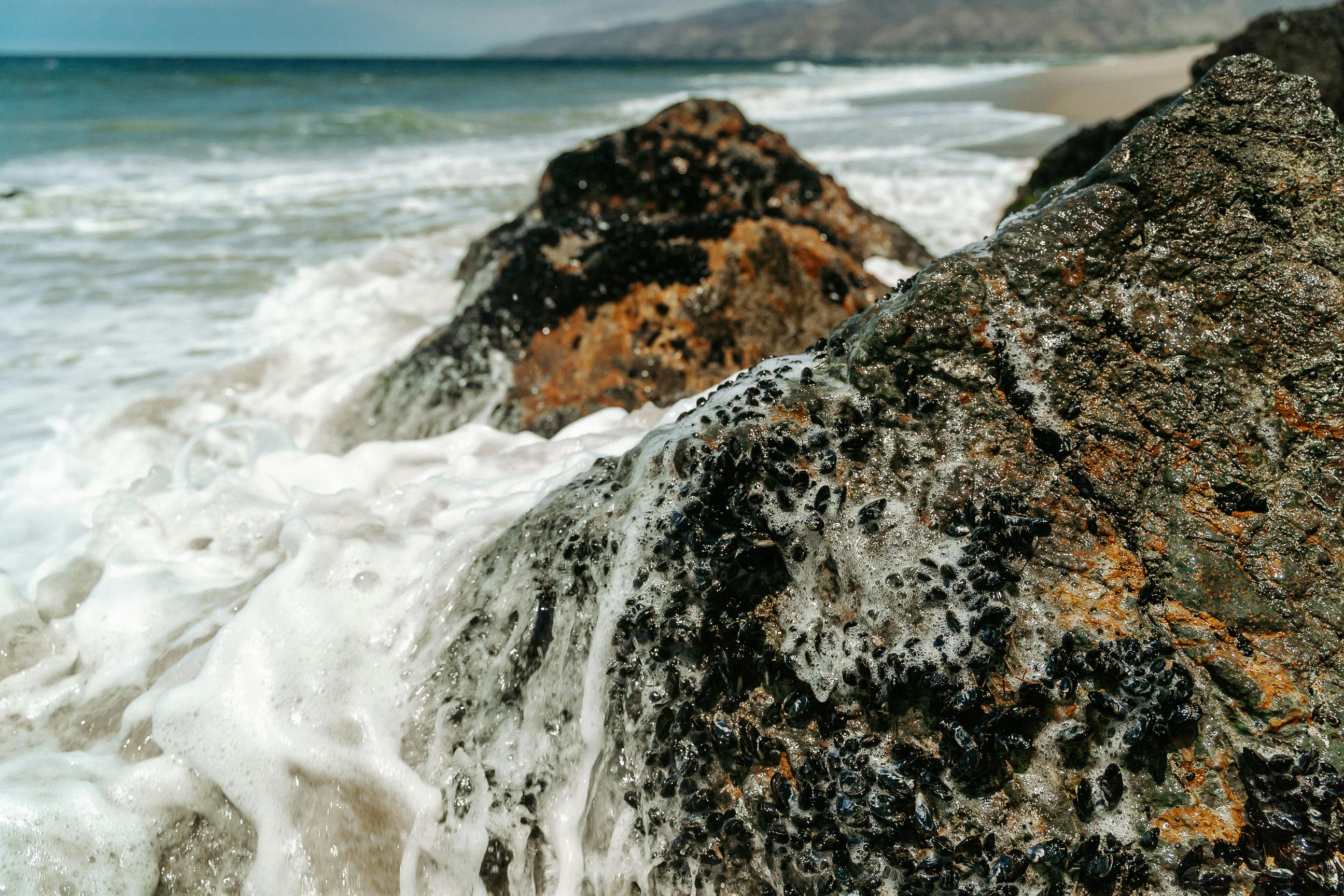 Wet Coastal Rocks · Free Stock Photo