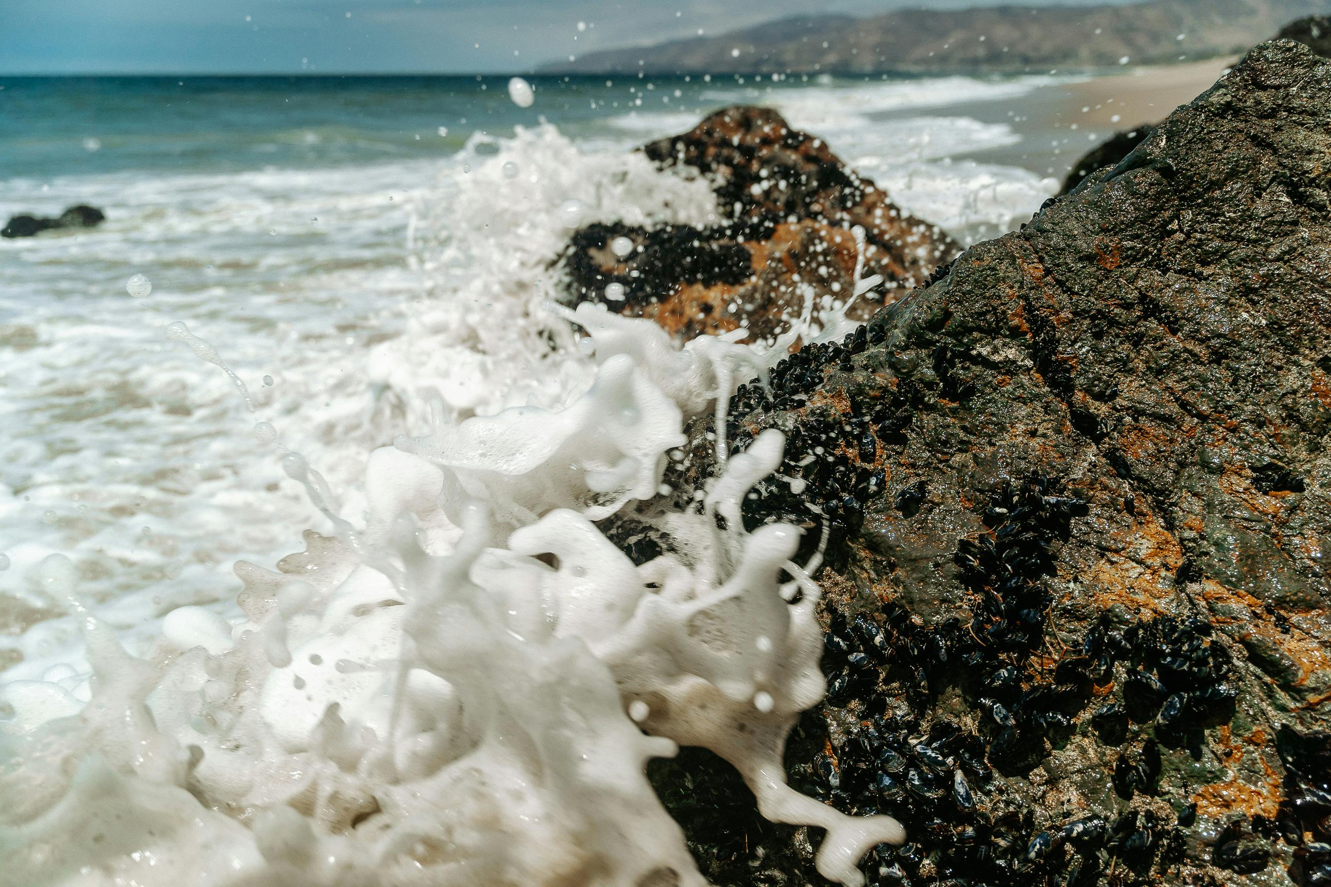 Beautiful Seafoam in Close-up Photography · Free Stock Photo