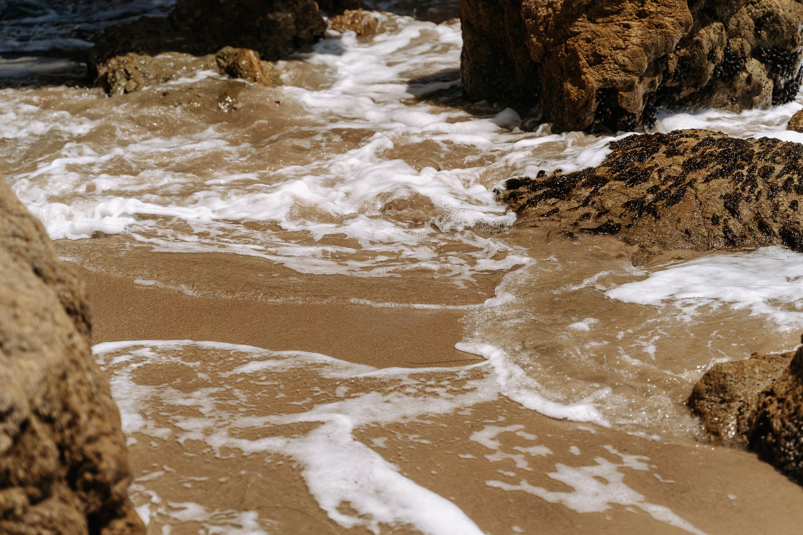 Seafoam on Brown Sand · Free Stock Photo
