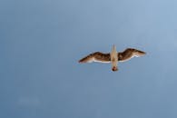 More 170 Winced Synonyms. Similar words for Winced.