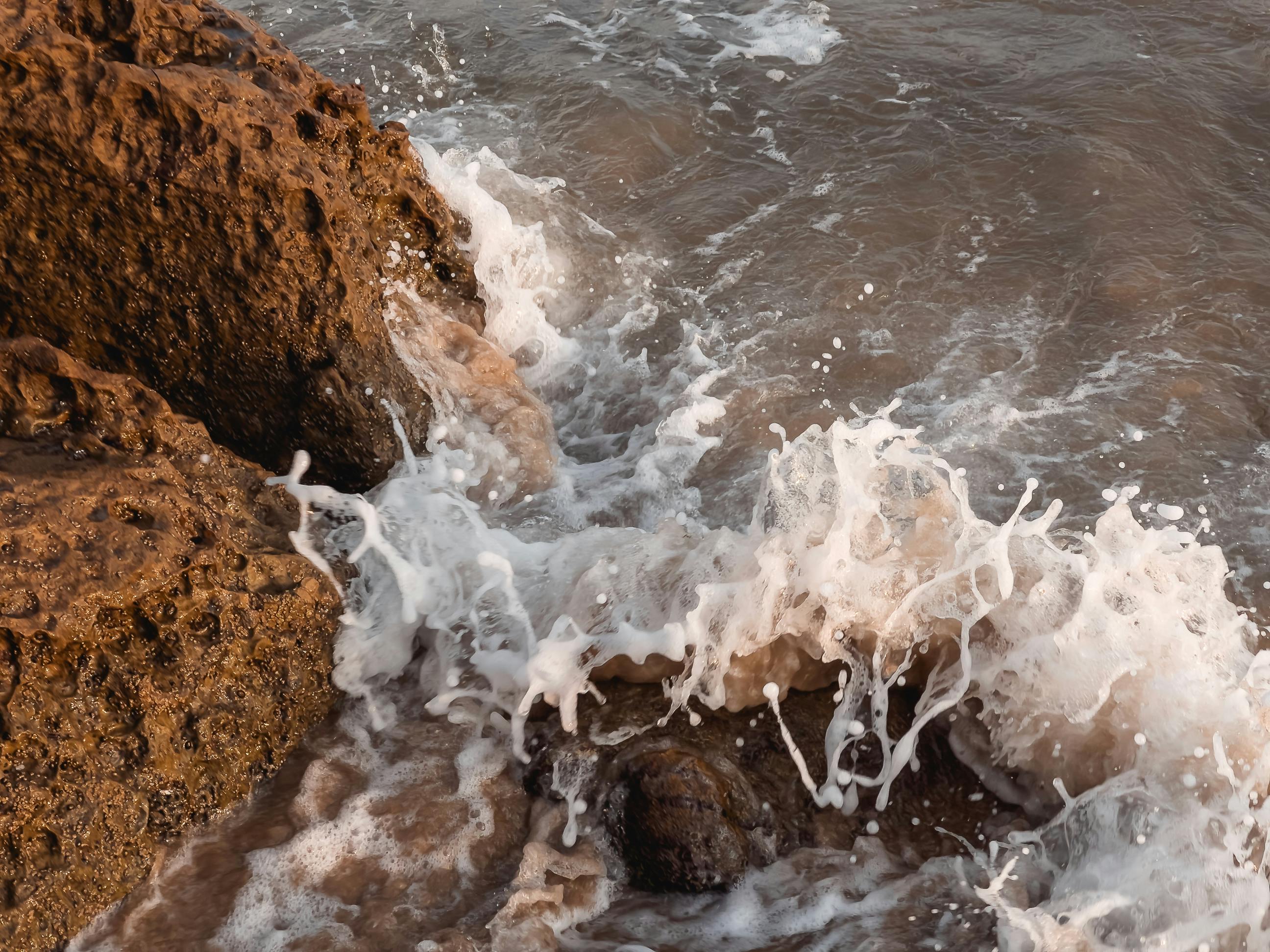 Brown Rocks in Body of Water · Free Stock Photo
