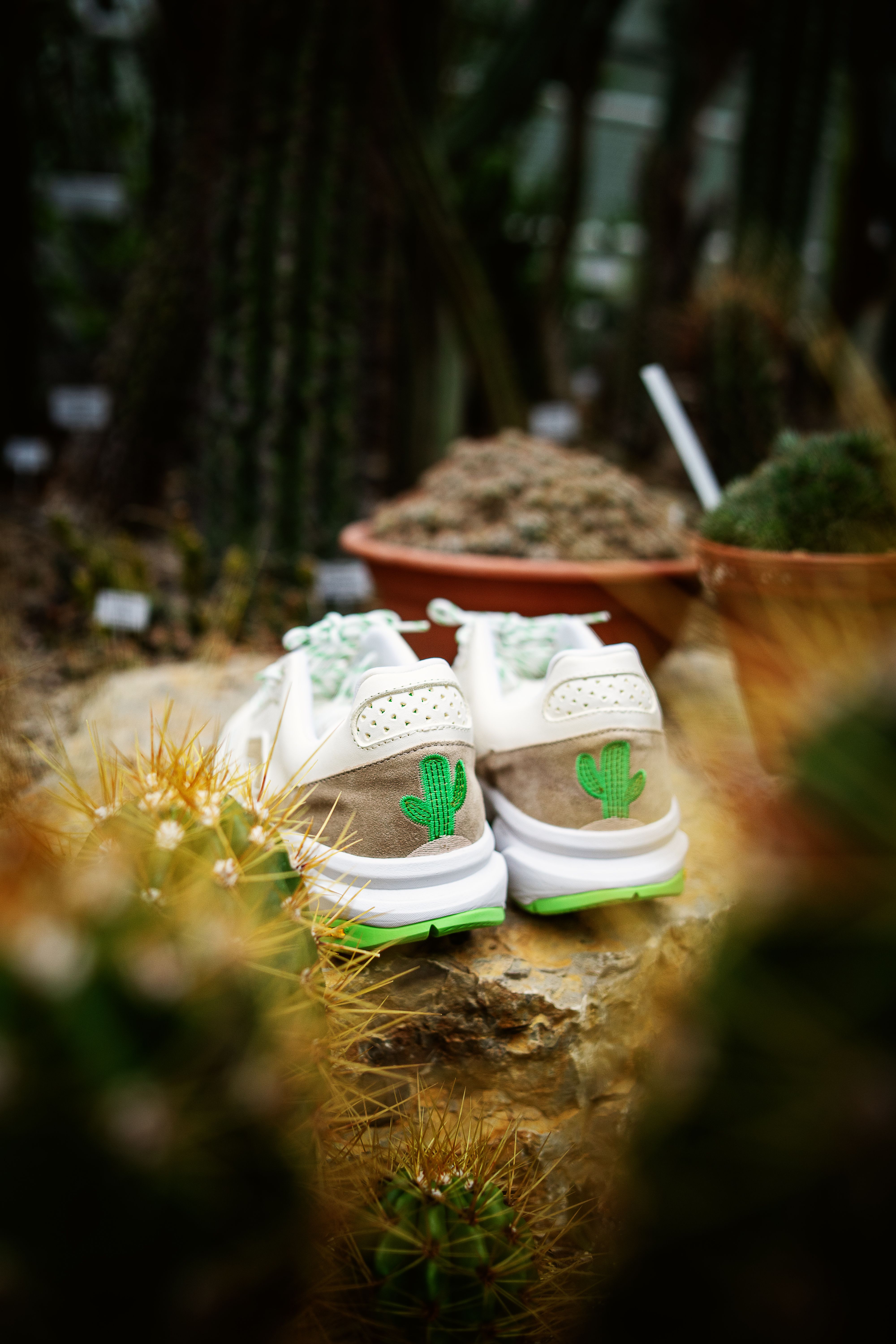 Rubber Shoes in Close Up Photography · Free Stock Photo