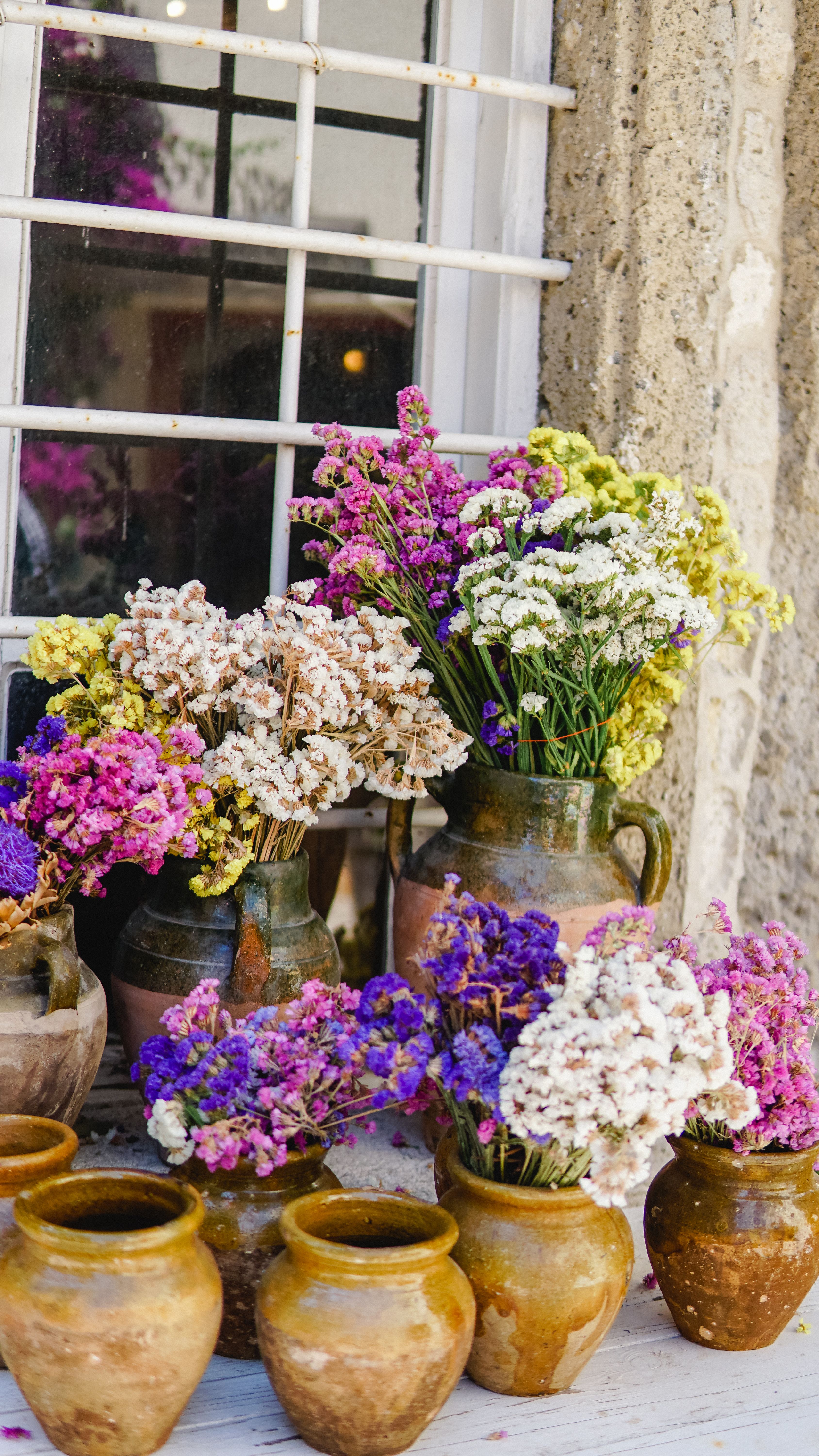 Beautiful Flowers displayed by the Window · Free Stock Photo