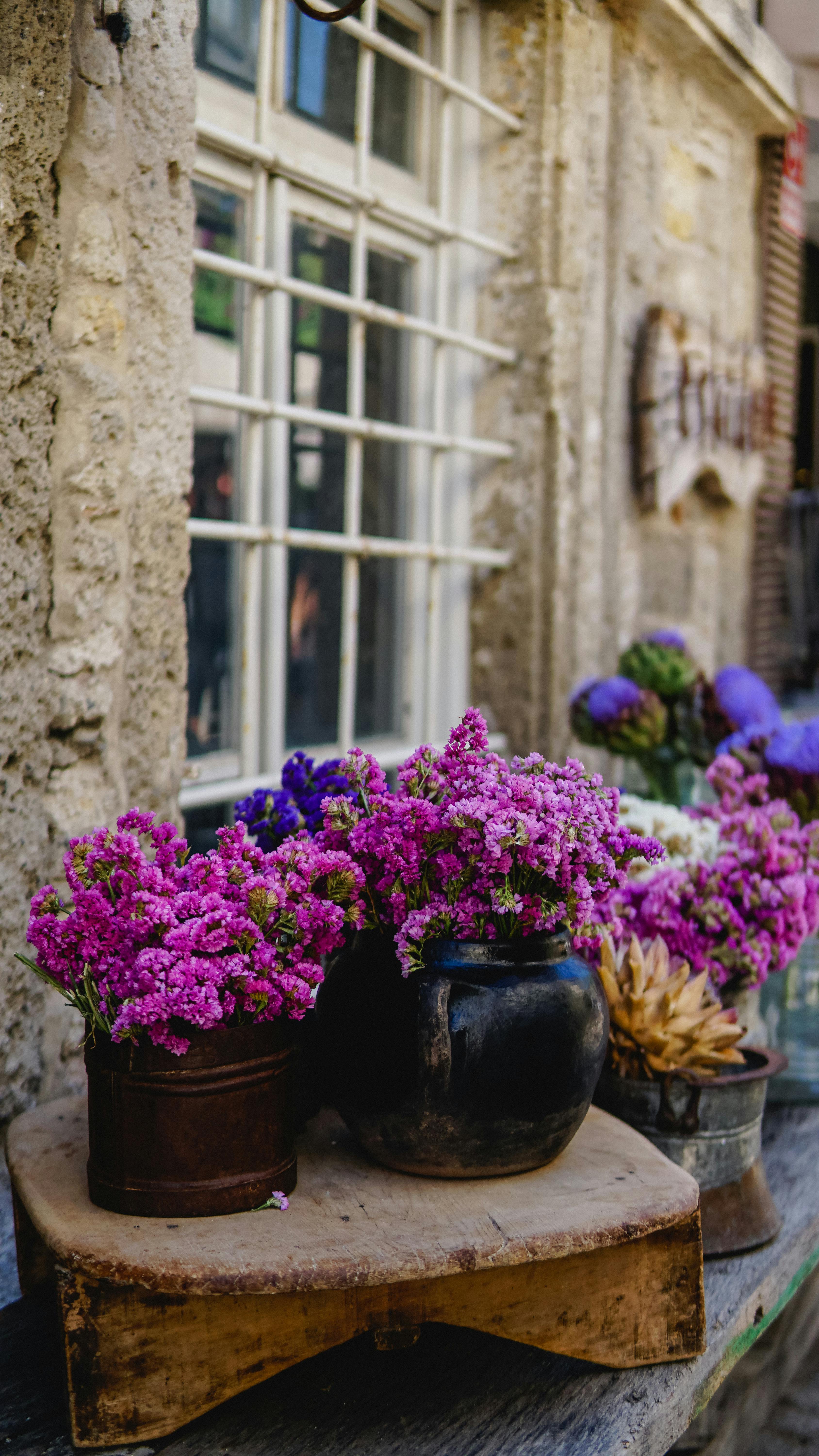 Buckets with Purple Flowers · Free Stock Photo