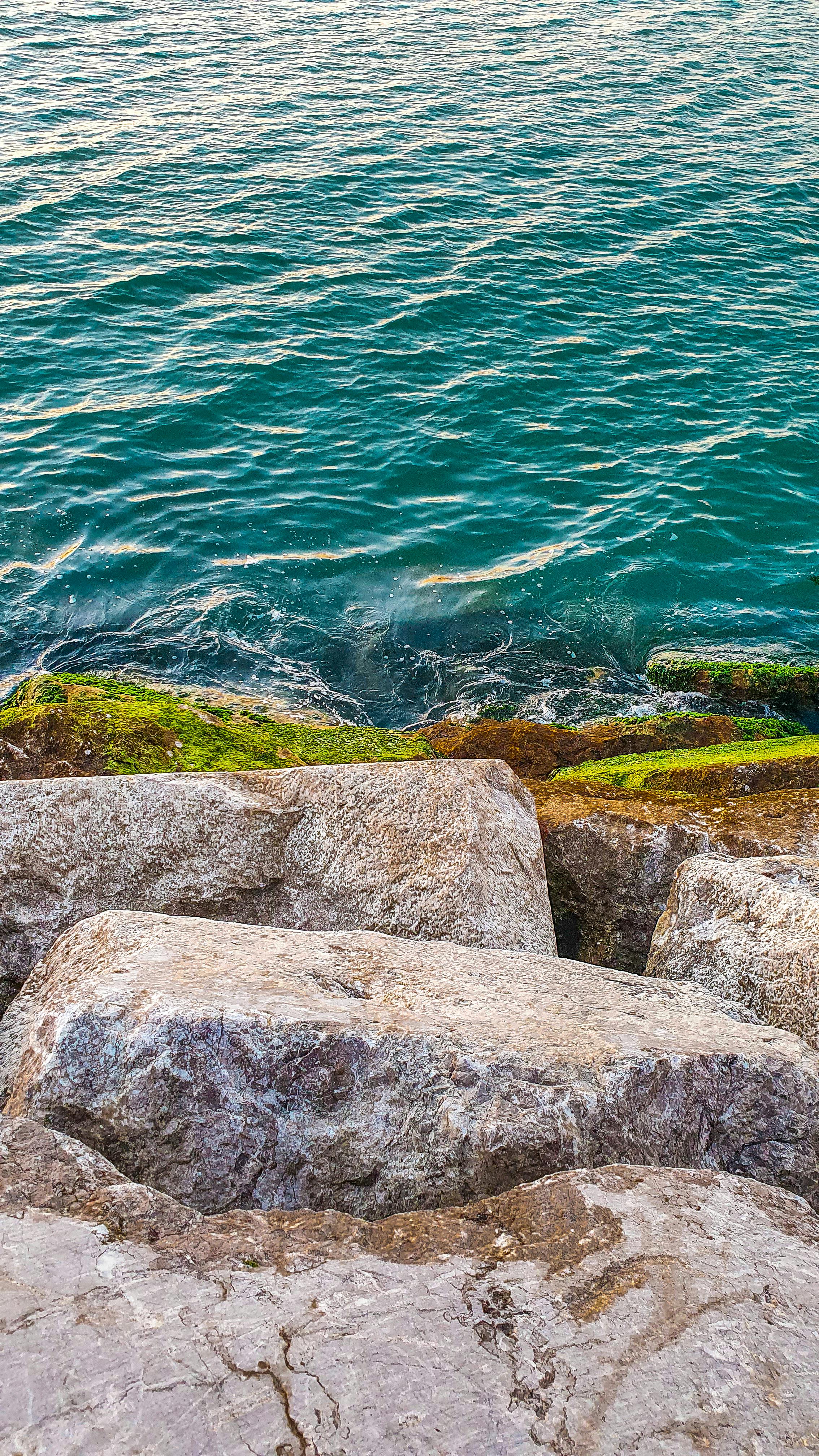 Rocks on the Beach · Free Stock Photo