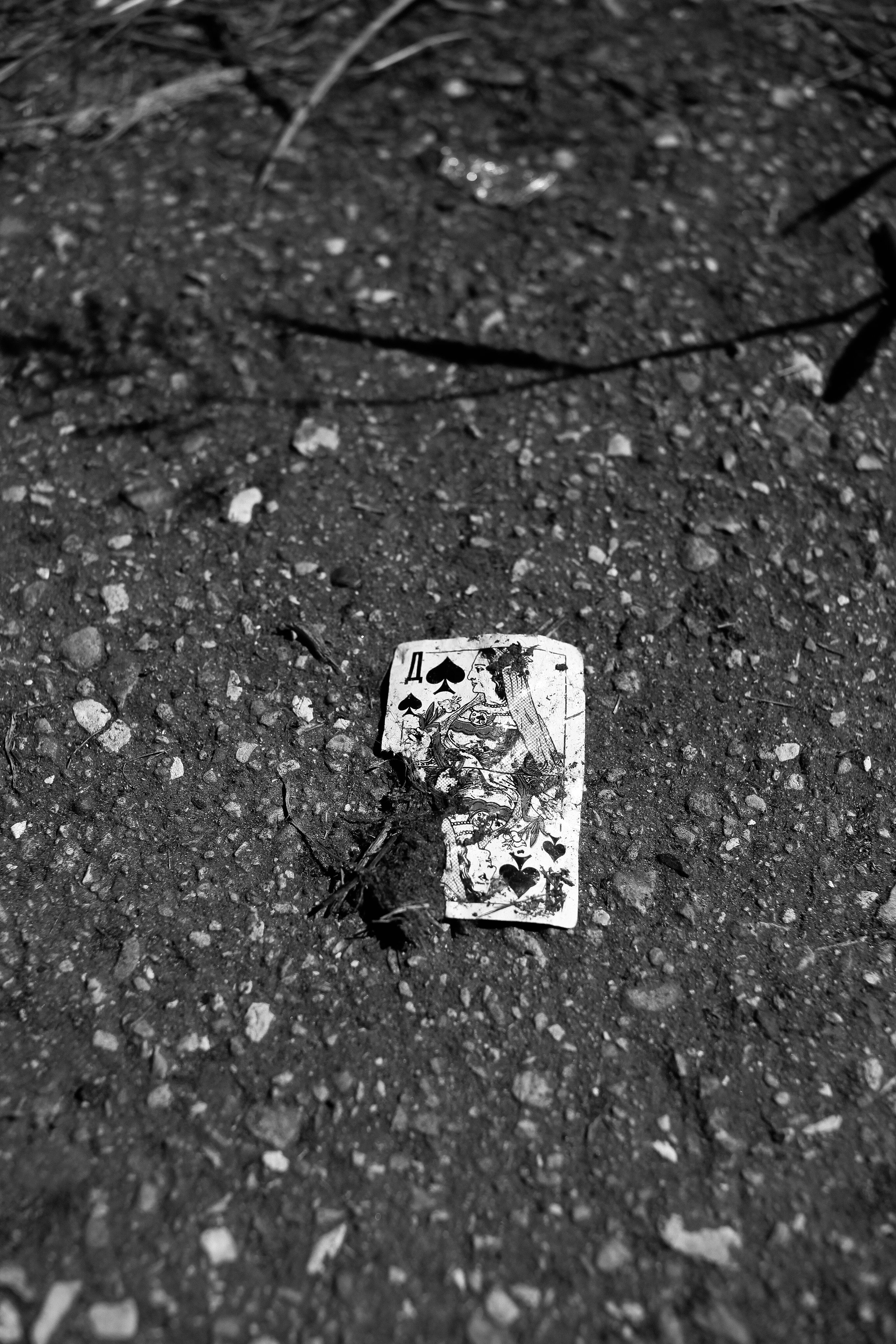 Close-up of Dirty Card · Free Stock Photo