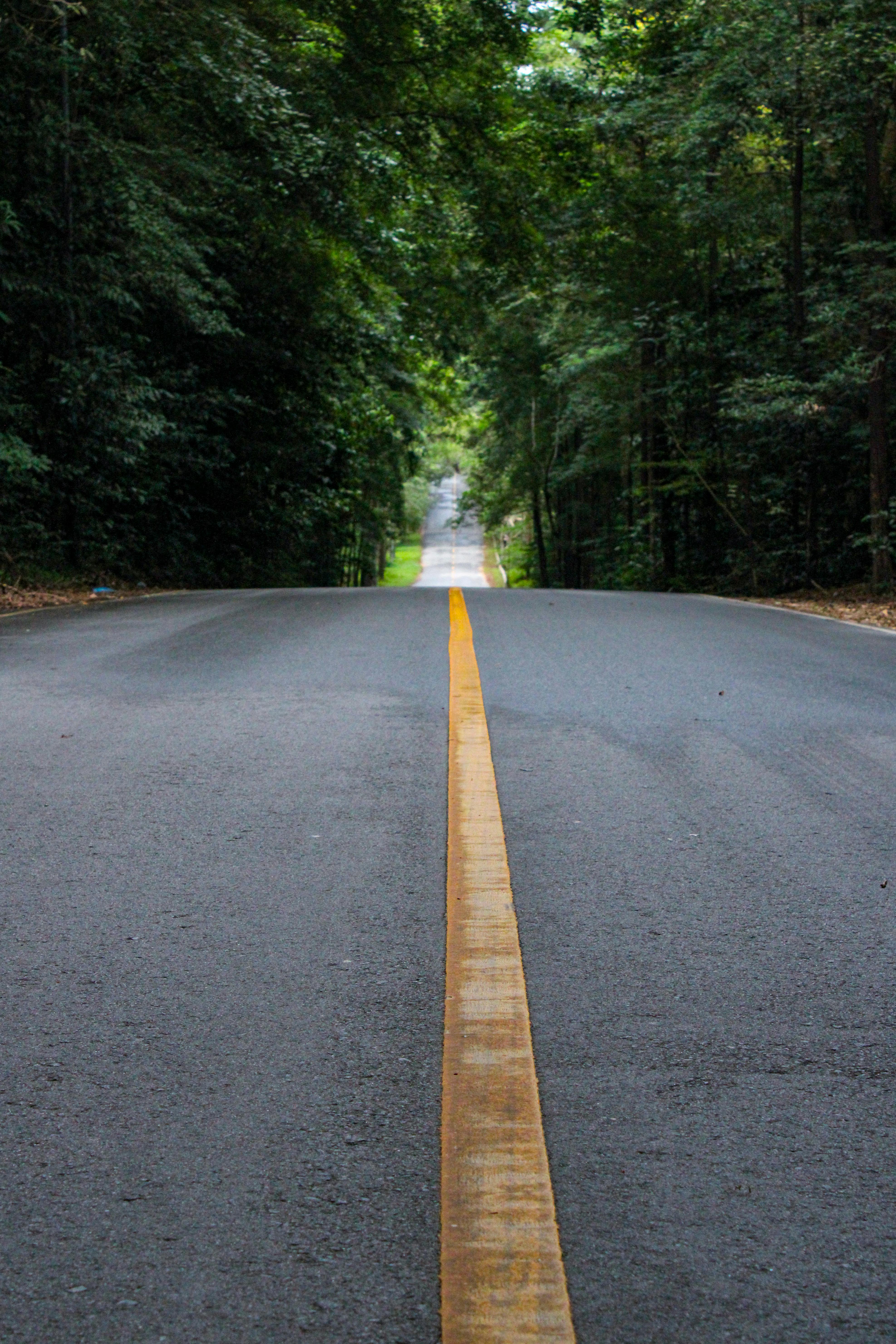 Asphalt Road With Yellow Lane · Free Stock Photo