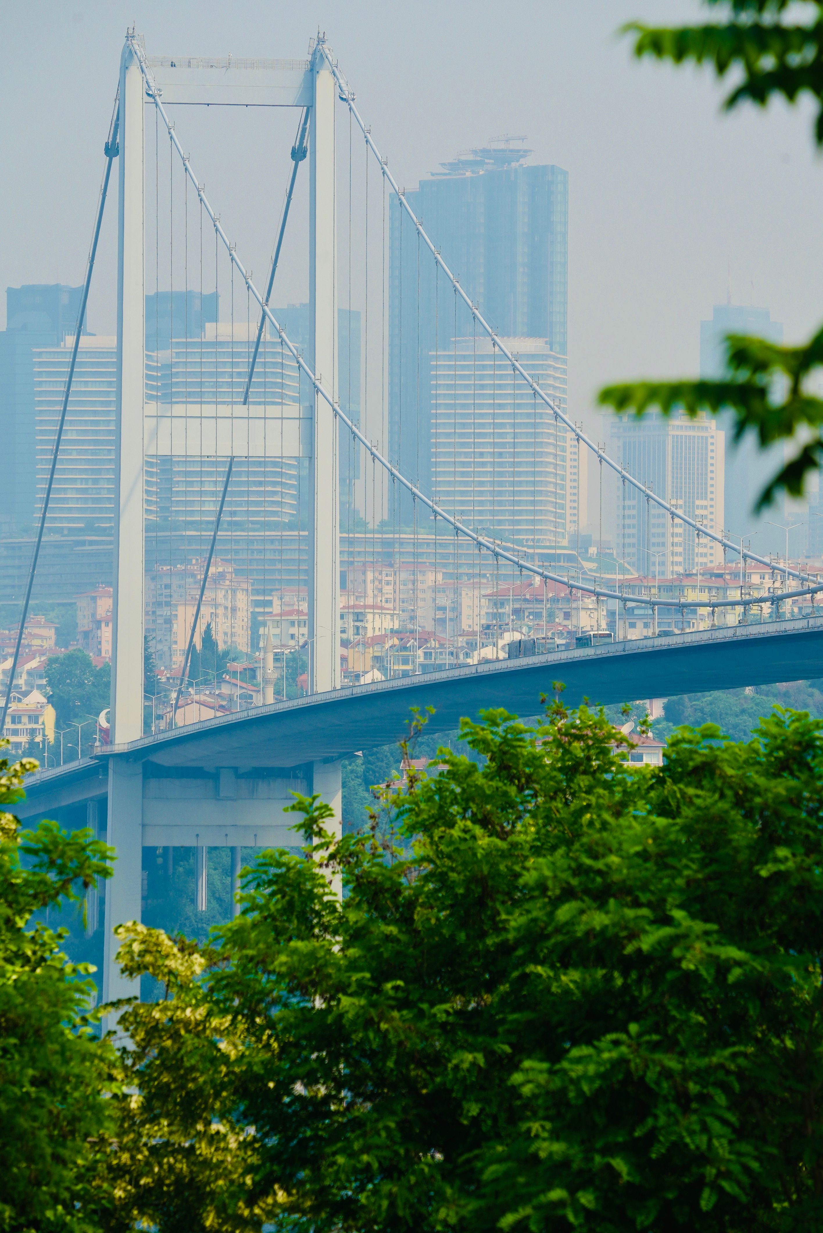 Bridge Behind the Tree Leaves · Free Stock Photo