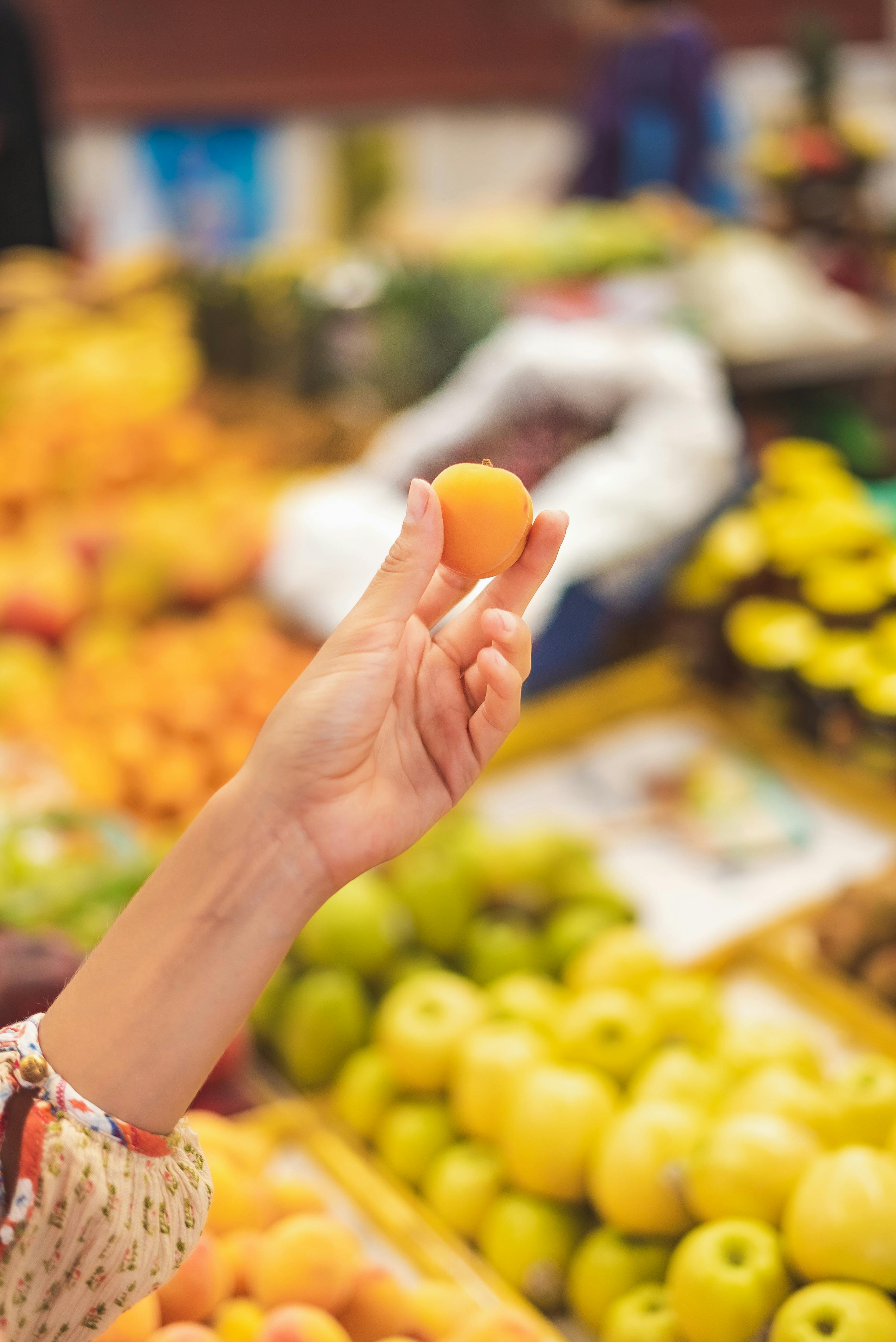A Person Holding a Peach · Free Stock Photo