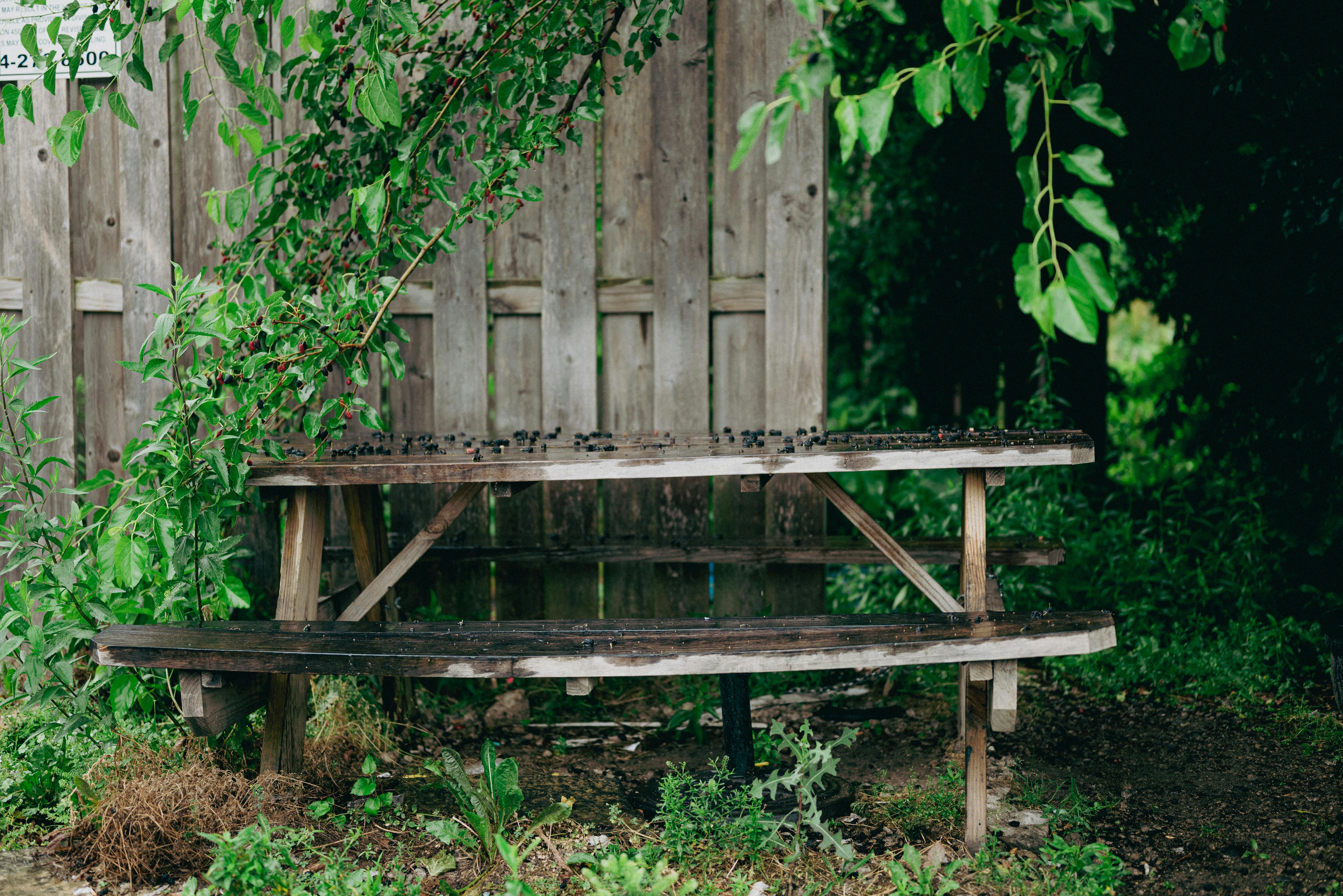 Dirty Picnic Bench Near Green Leaves · Free Stock Photo