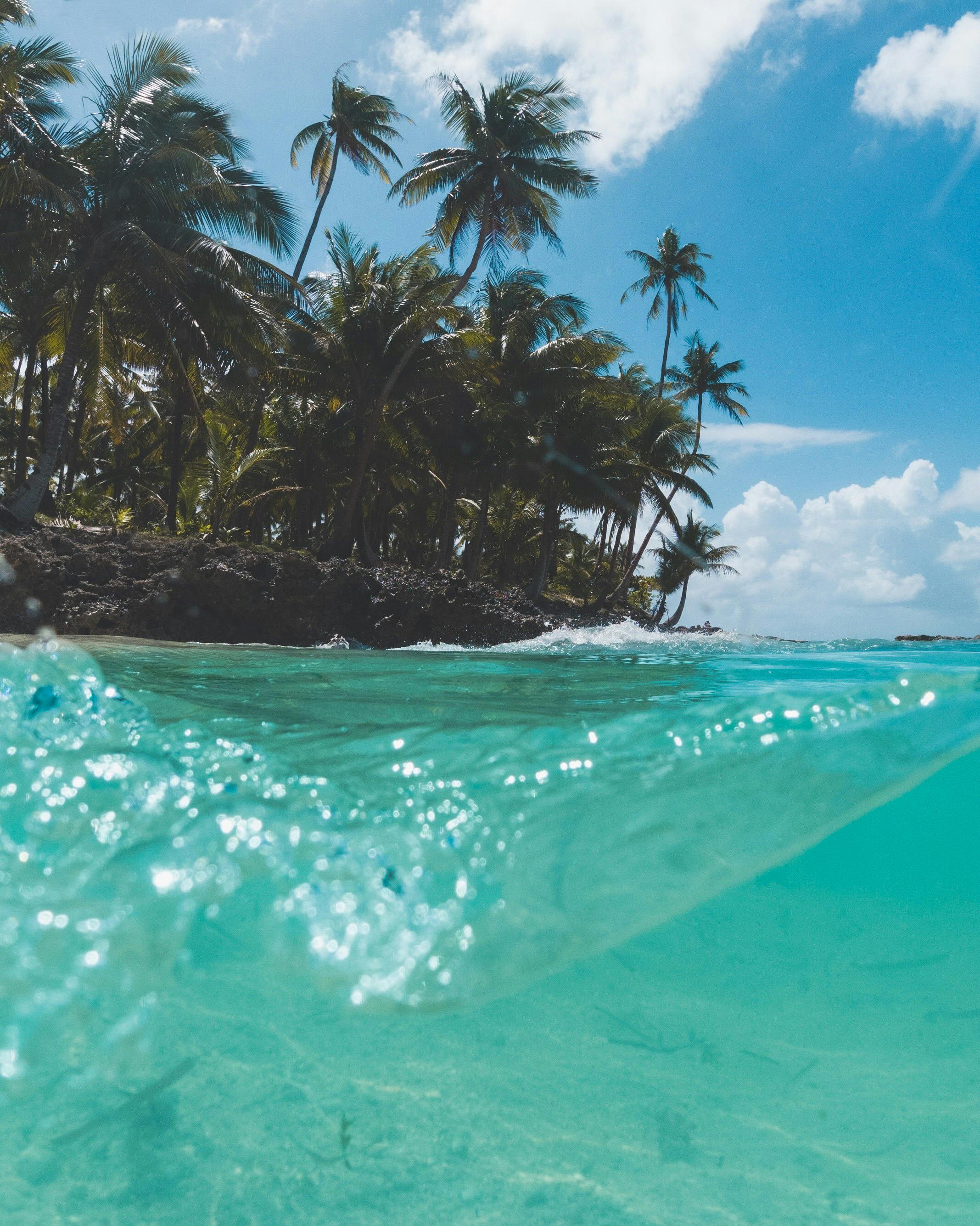 Tropic Paradise Photos, Download Free Tropic Paradise Stock Photos & HD ...