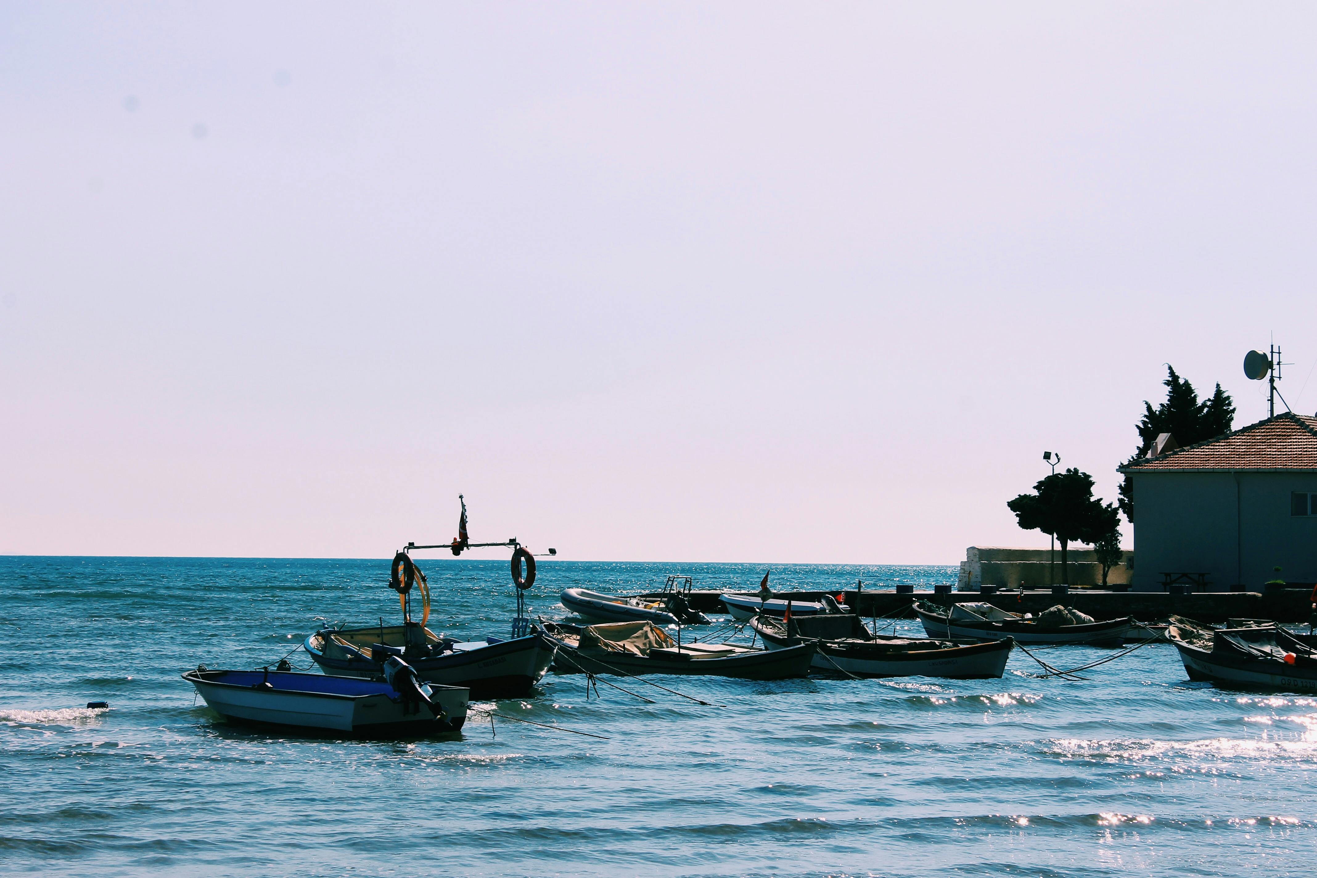 Houses Near the Ocean · Free Stock Photo