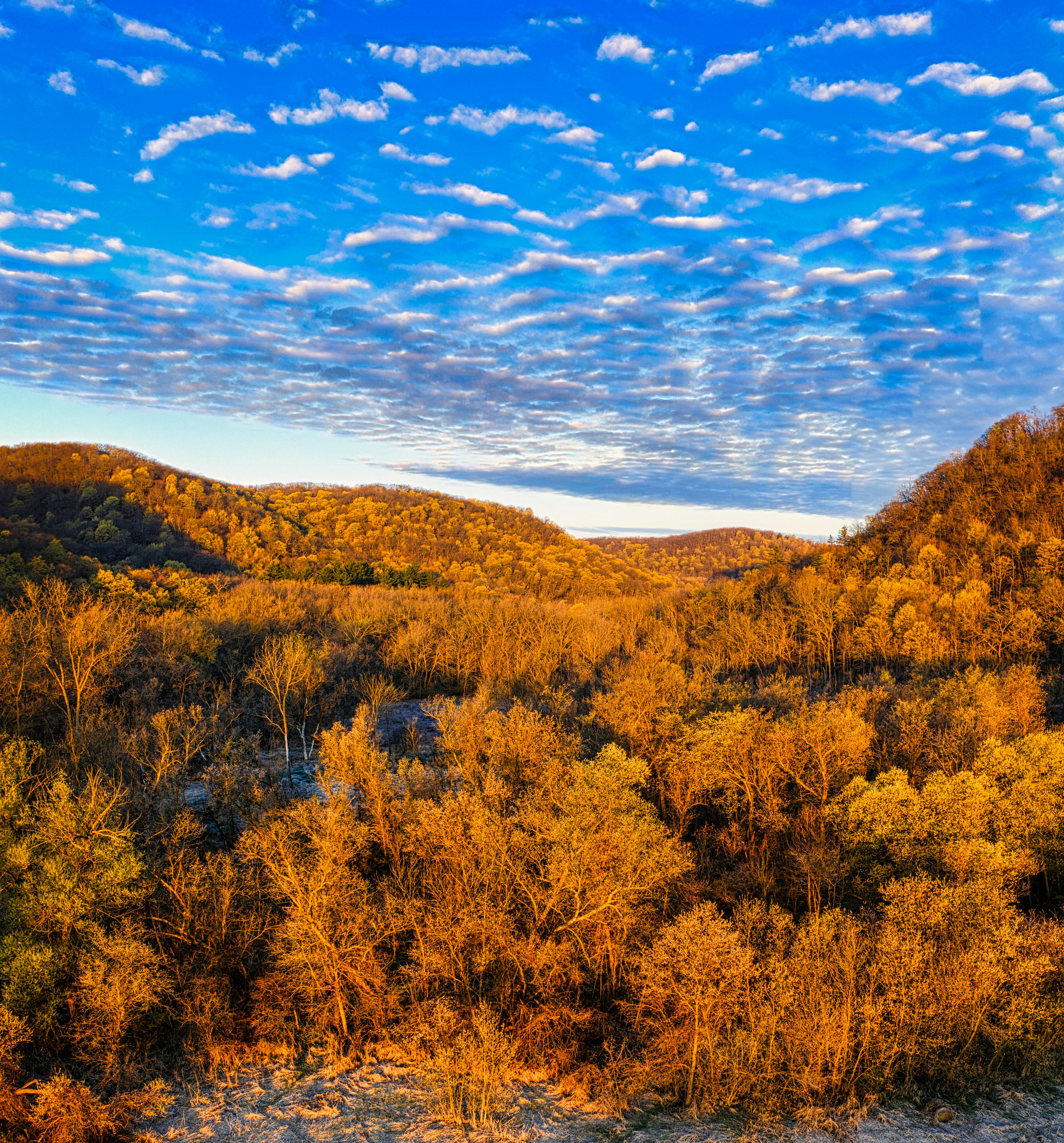 Autumn Blue Sky Photos, Download The BEST Free Autumn Blue Sky Stock ...