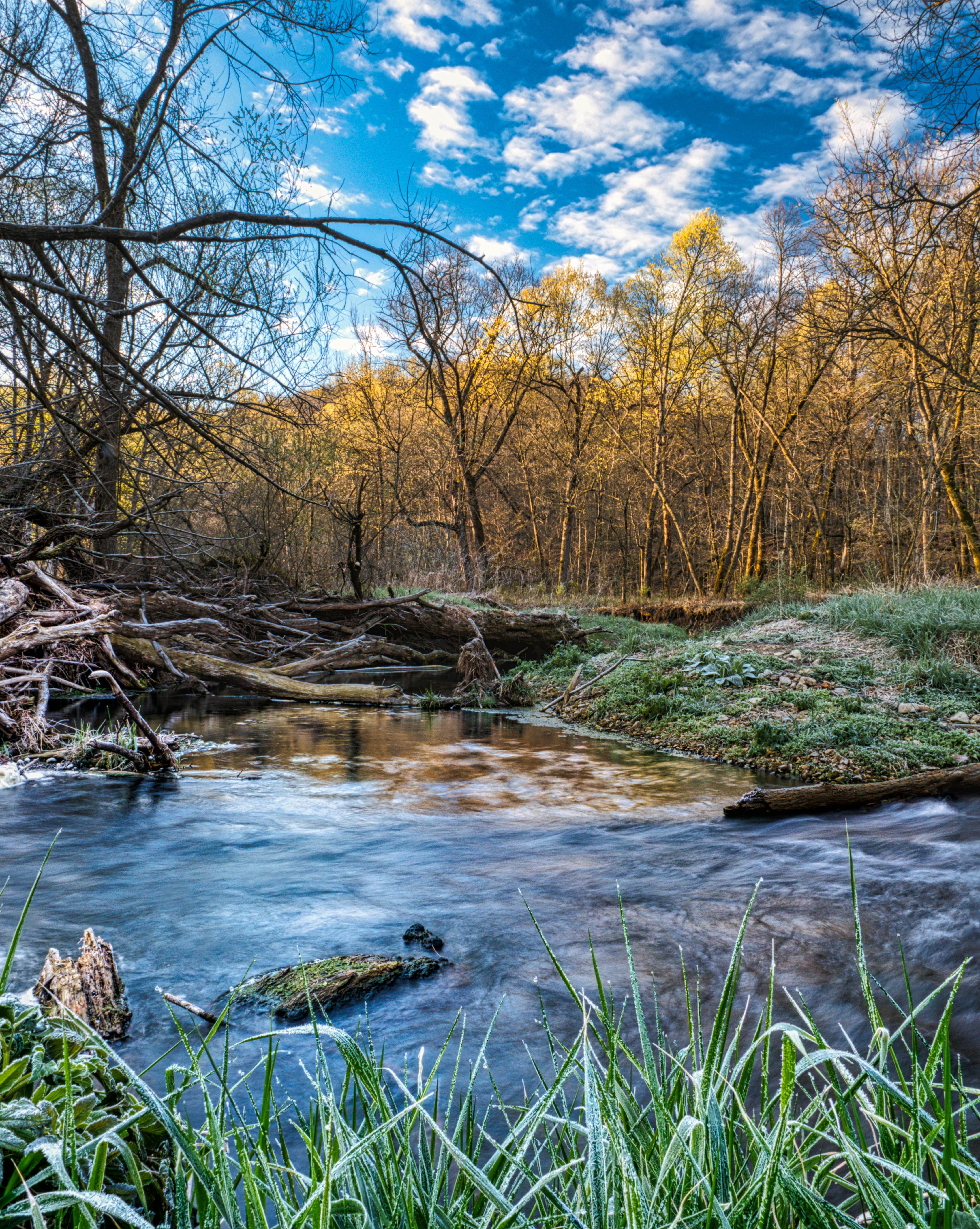 Swamp in Autumn · Free Stock Photo