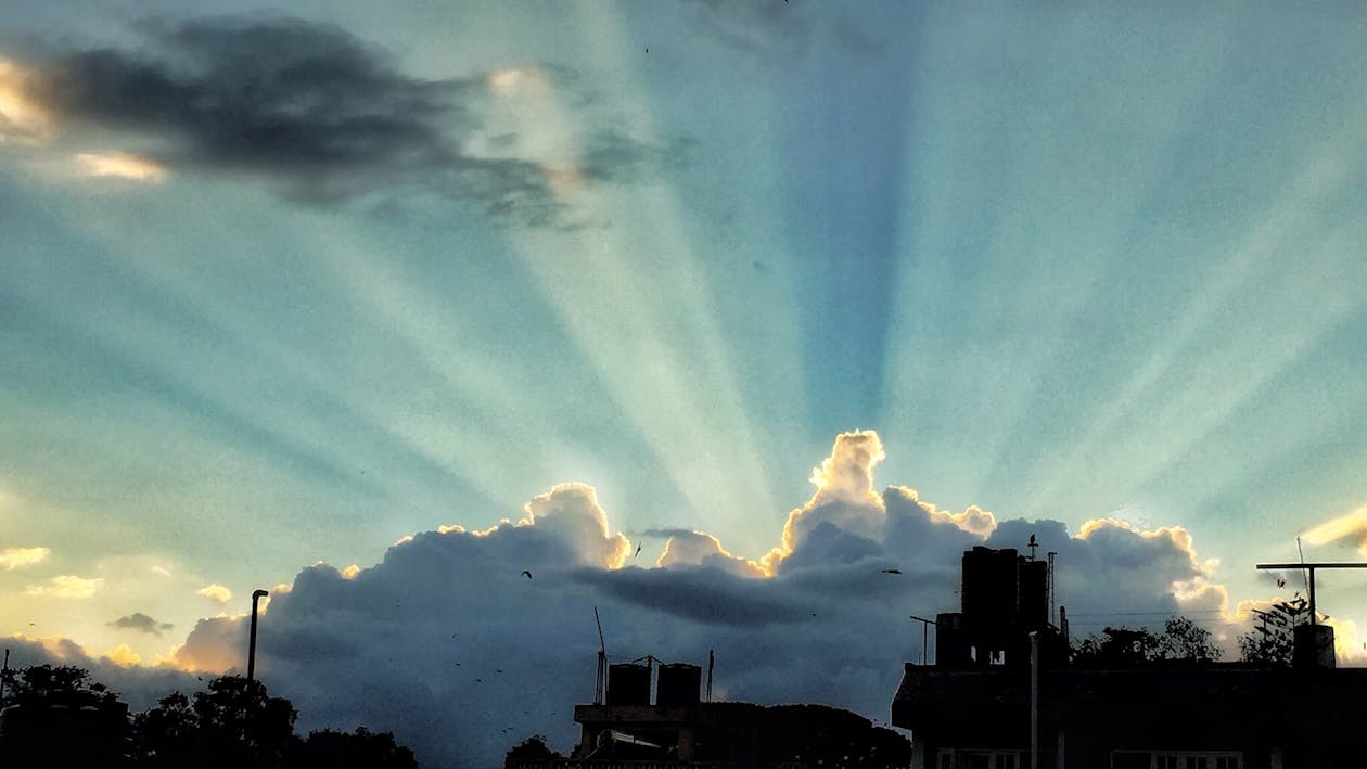 Free stock photo of nature, ray of light, ray of sunshine Free stock photo of nature, ray of light, ray of sunshine