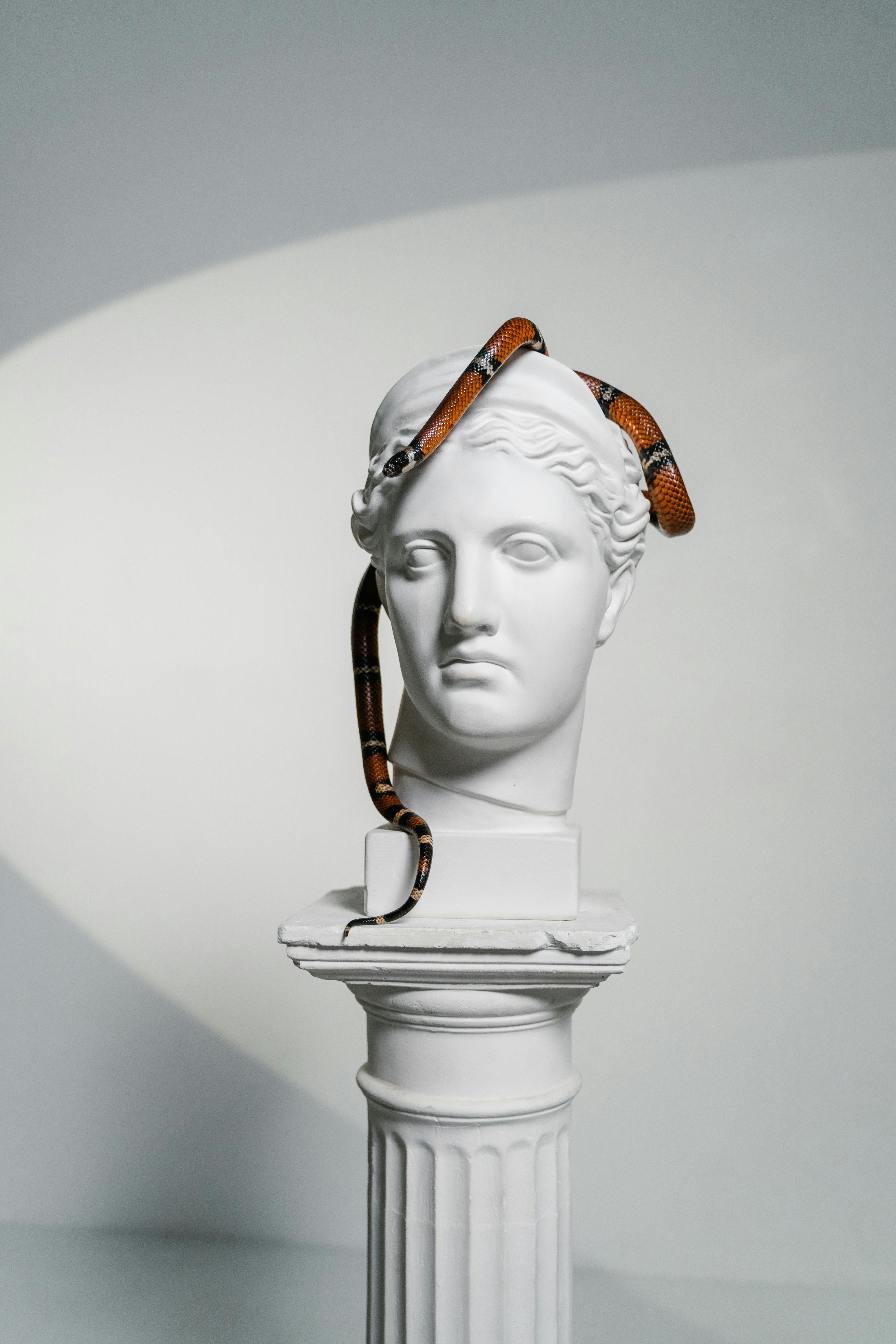 1,000+ Best Fear Photos · 100% Free Download · Pexels Stock Photos