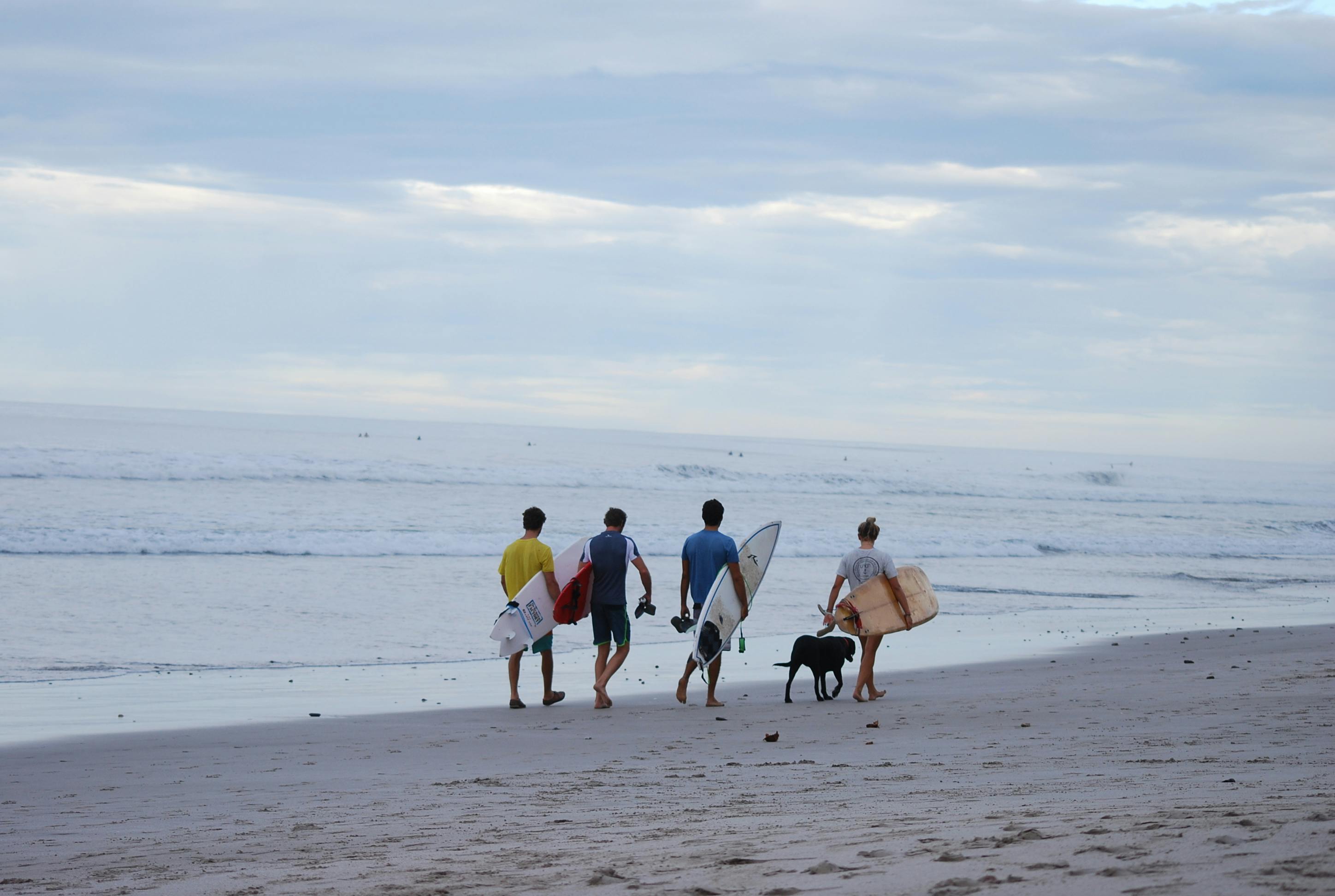 Free stock photo of surfers