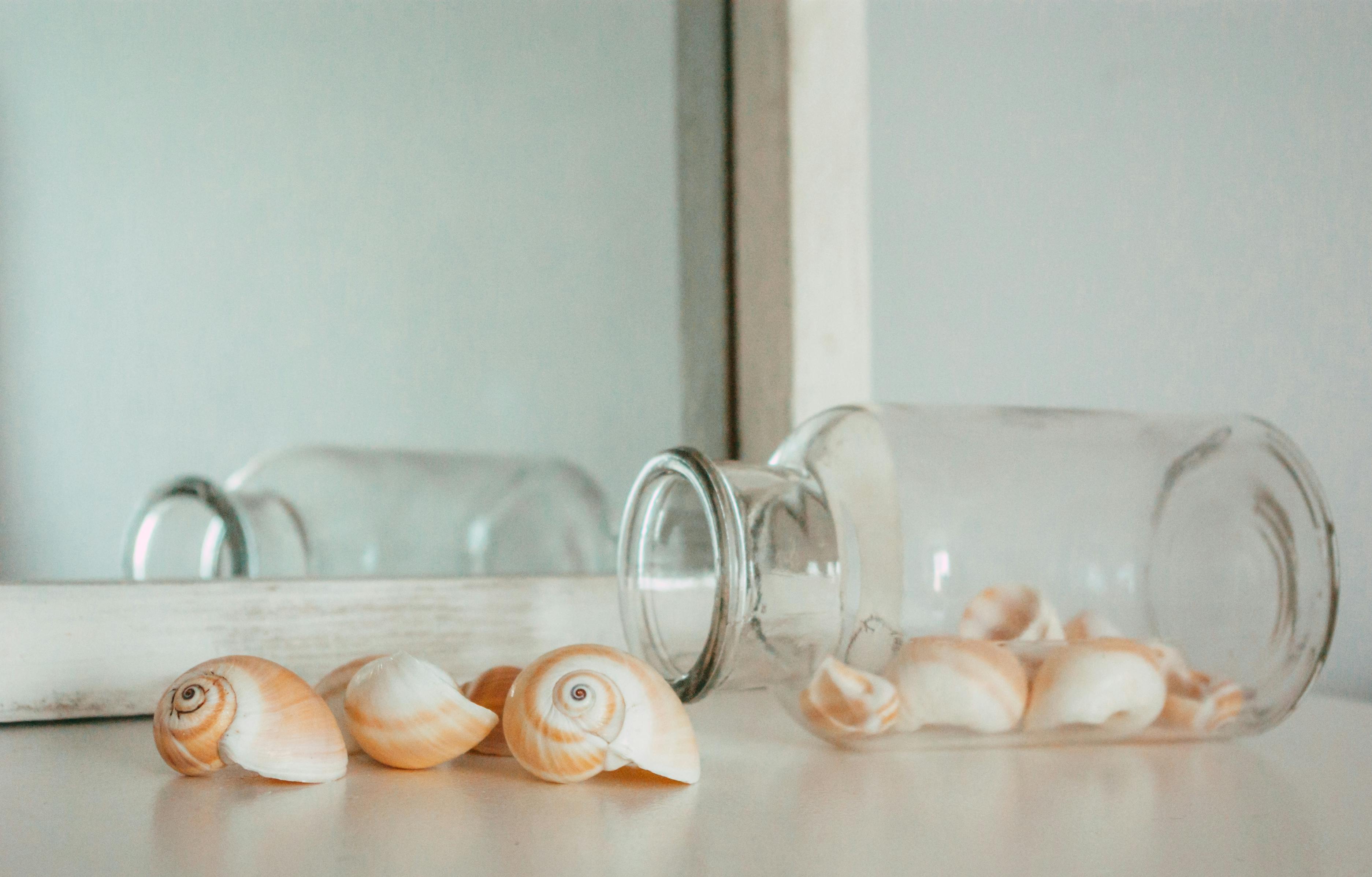 Shells Inside a Glass Jar · Free Stock Photo