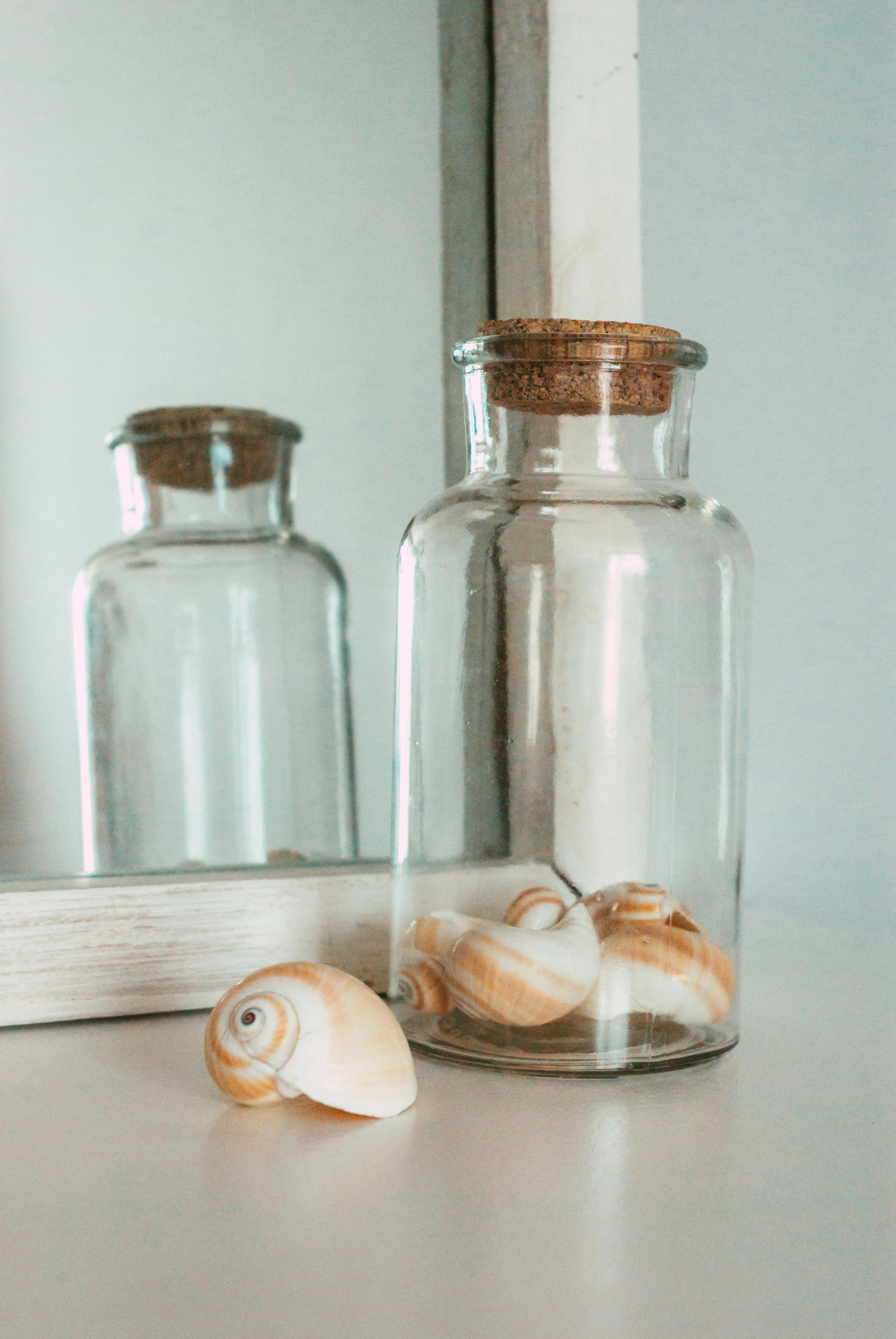 Seashells on a Glass Bottle · Free Stock Photo