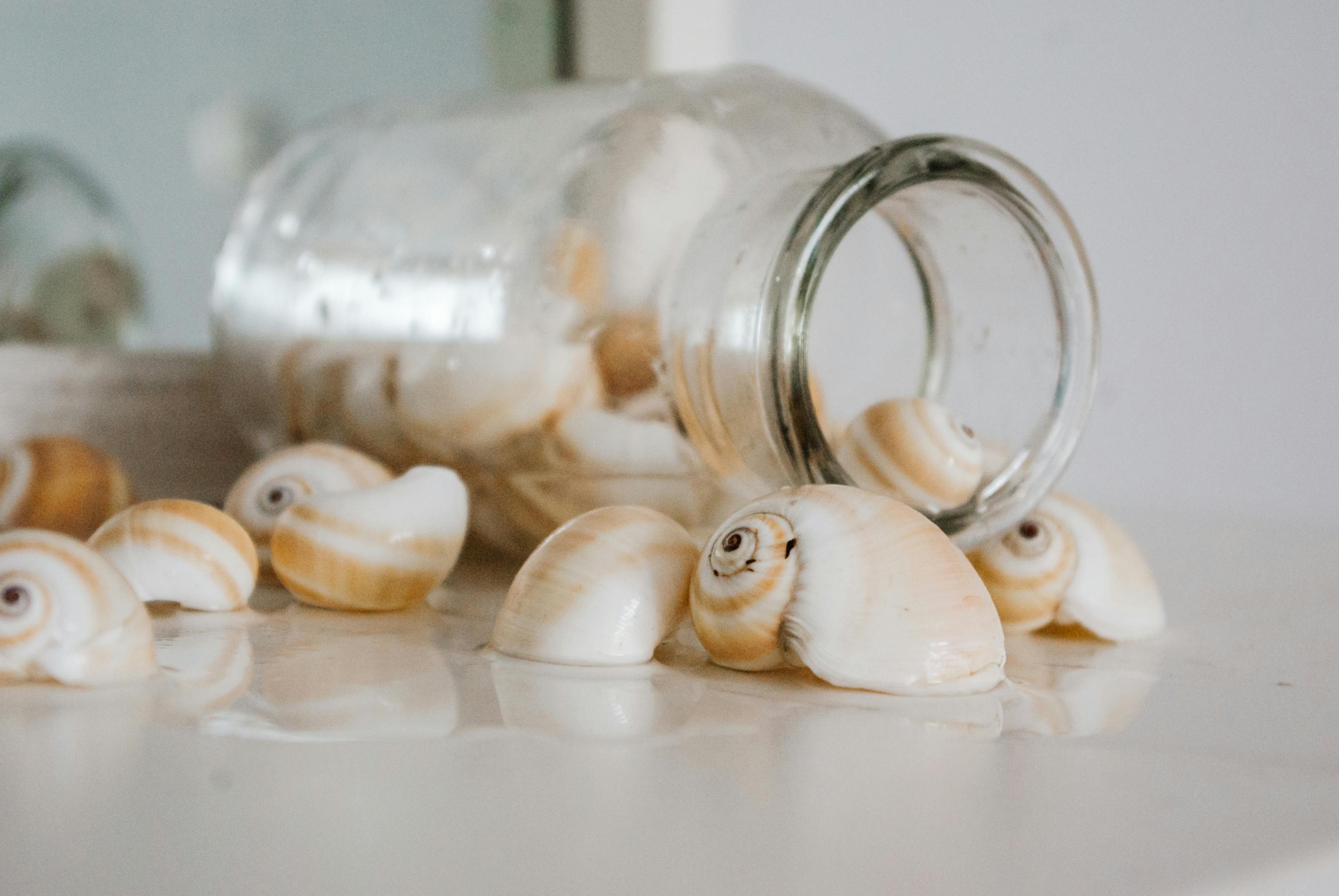 Seashells in a Glass Jar · Free Stock Photo