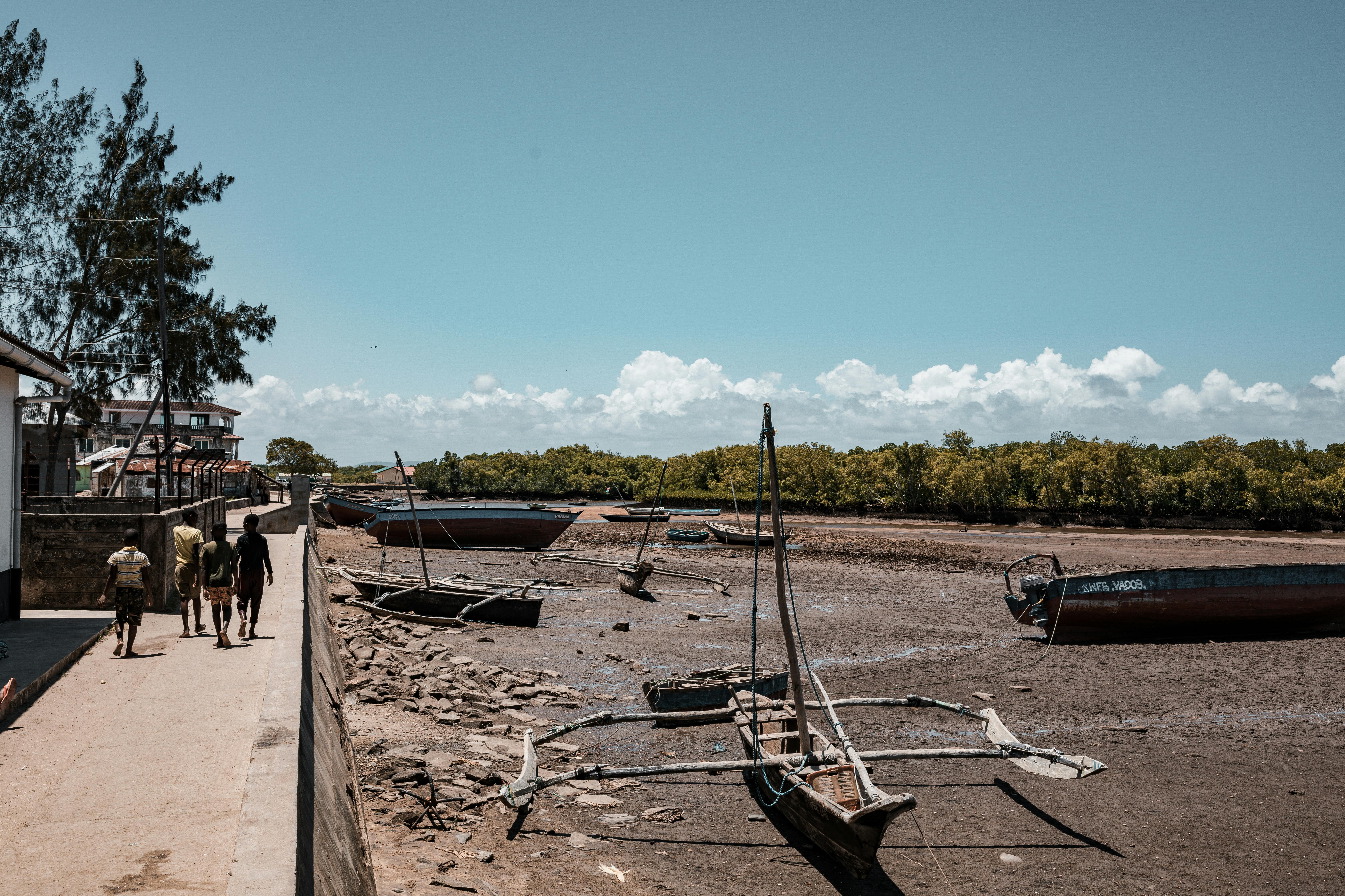 10+ Best Scarcity Photos · 100% Free Download · Pexels Stock Photos