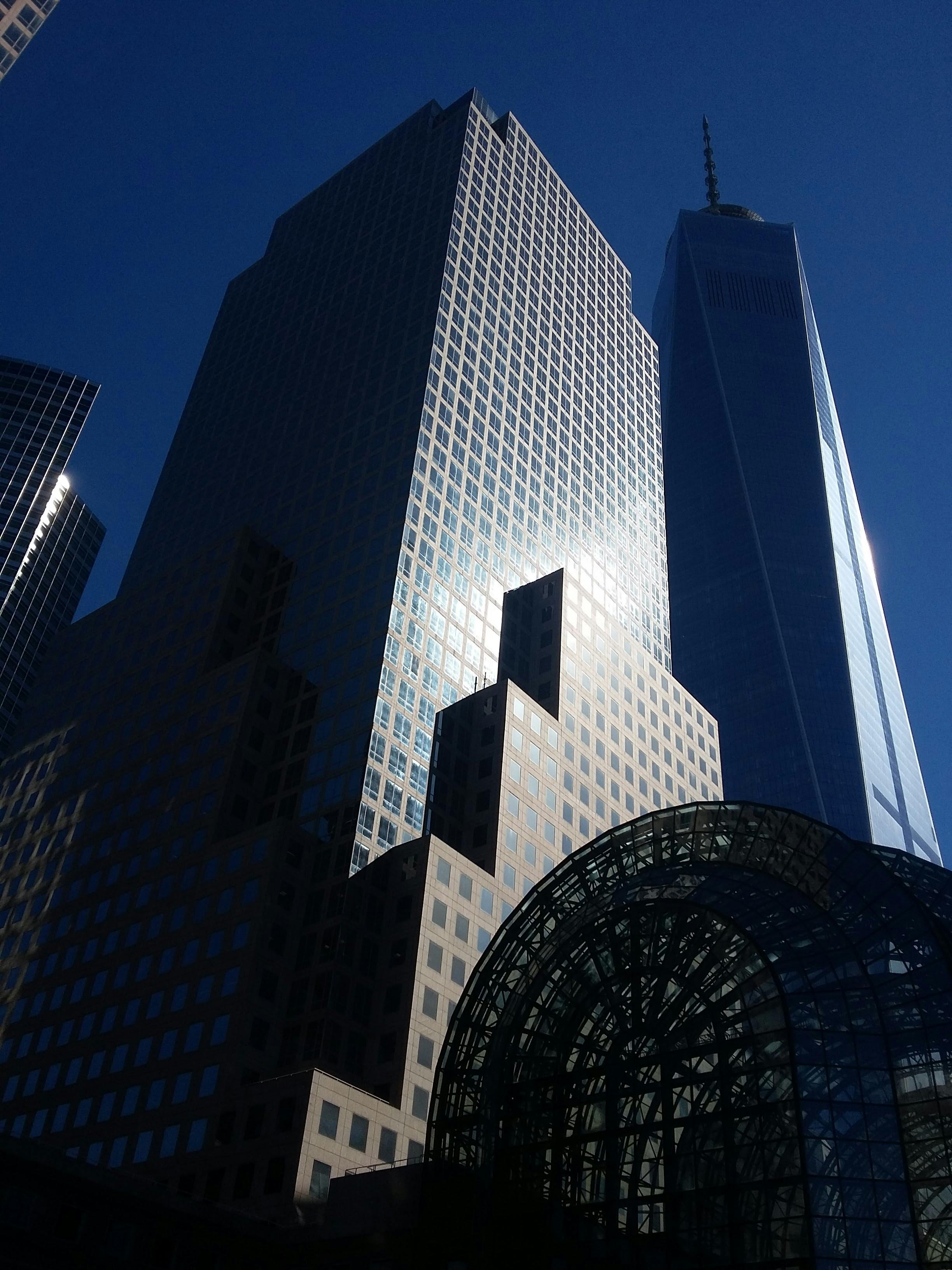 Tall Buildings with Glass Windows Under Clear Blue Sky · Free Stock Photo