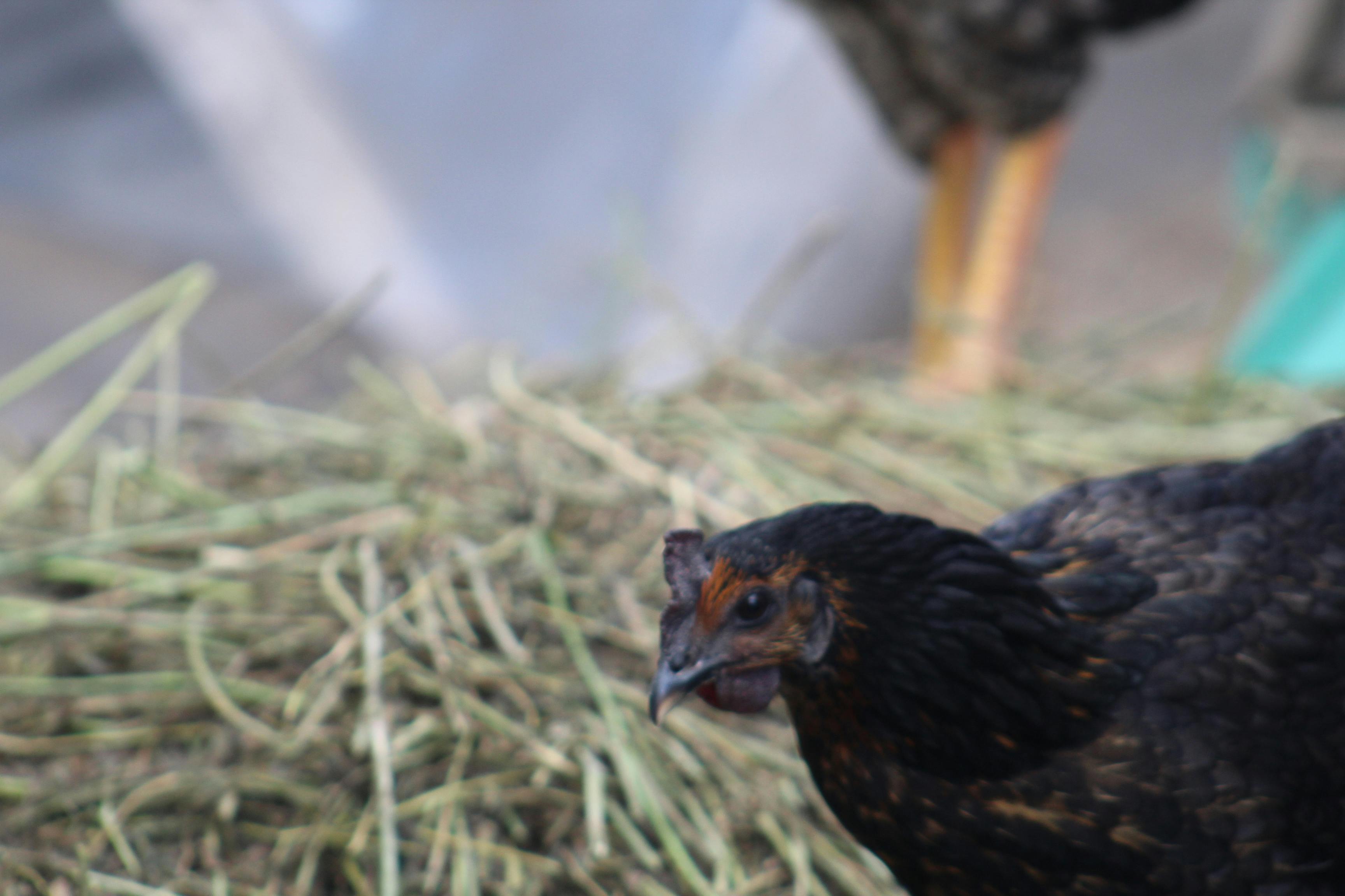 iox Morillo - 摄影