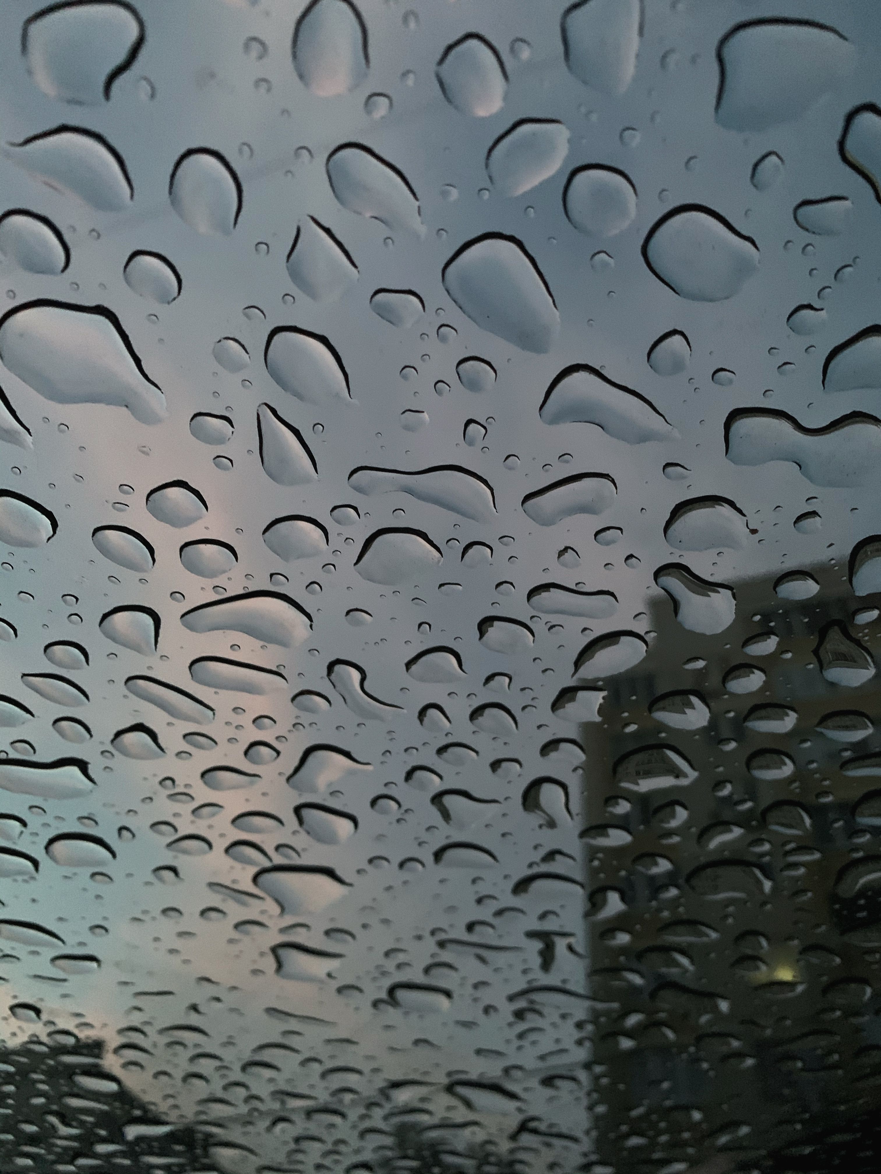 Water Droplets on Glass · Free Stock Photo