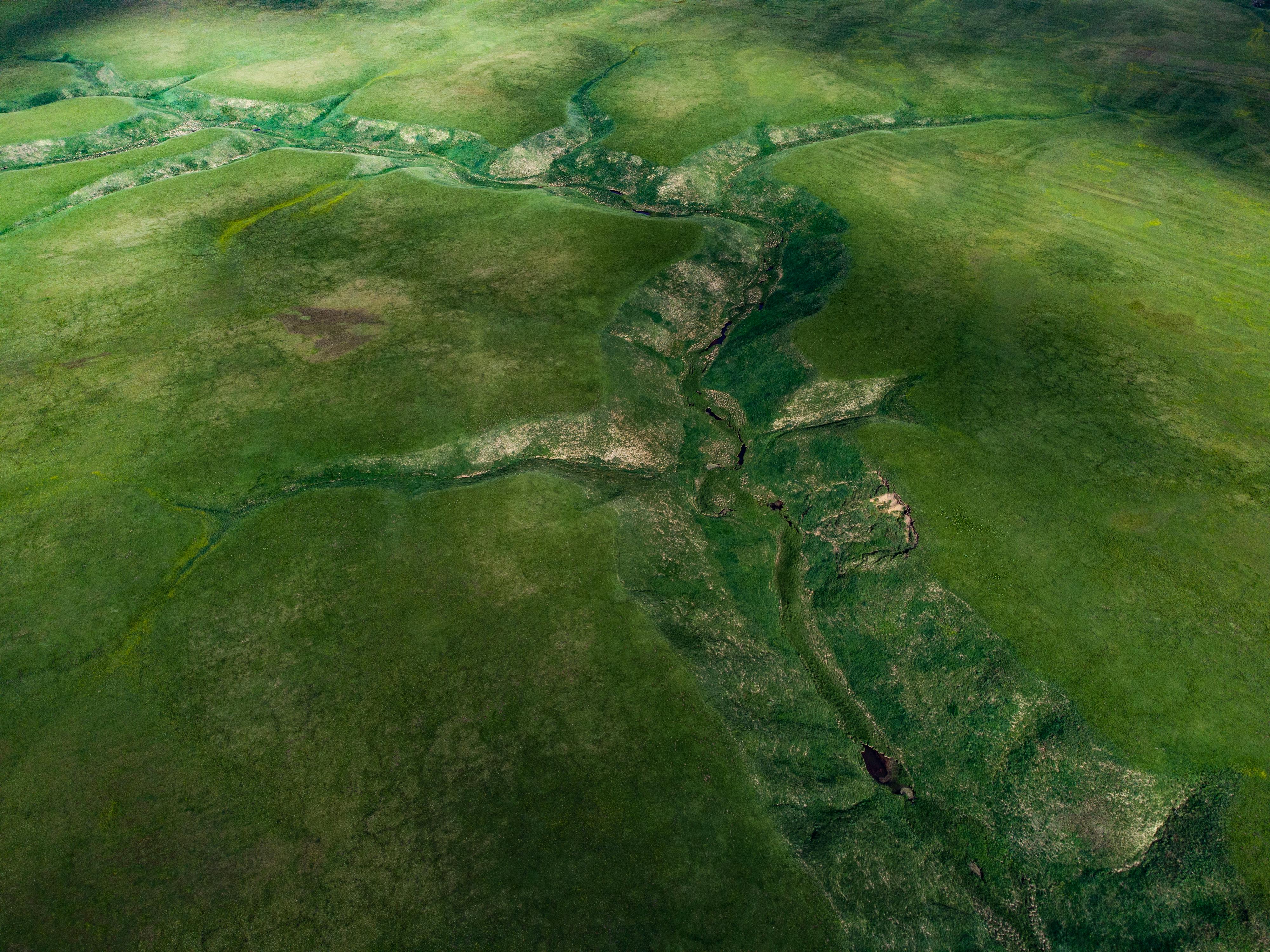 Aerial View of Green Grass Field · Free Stock Photo