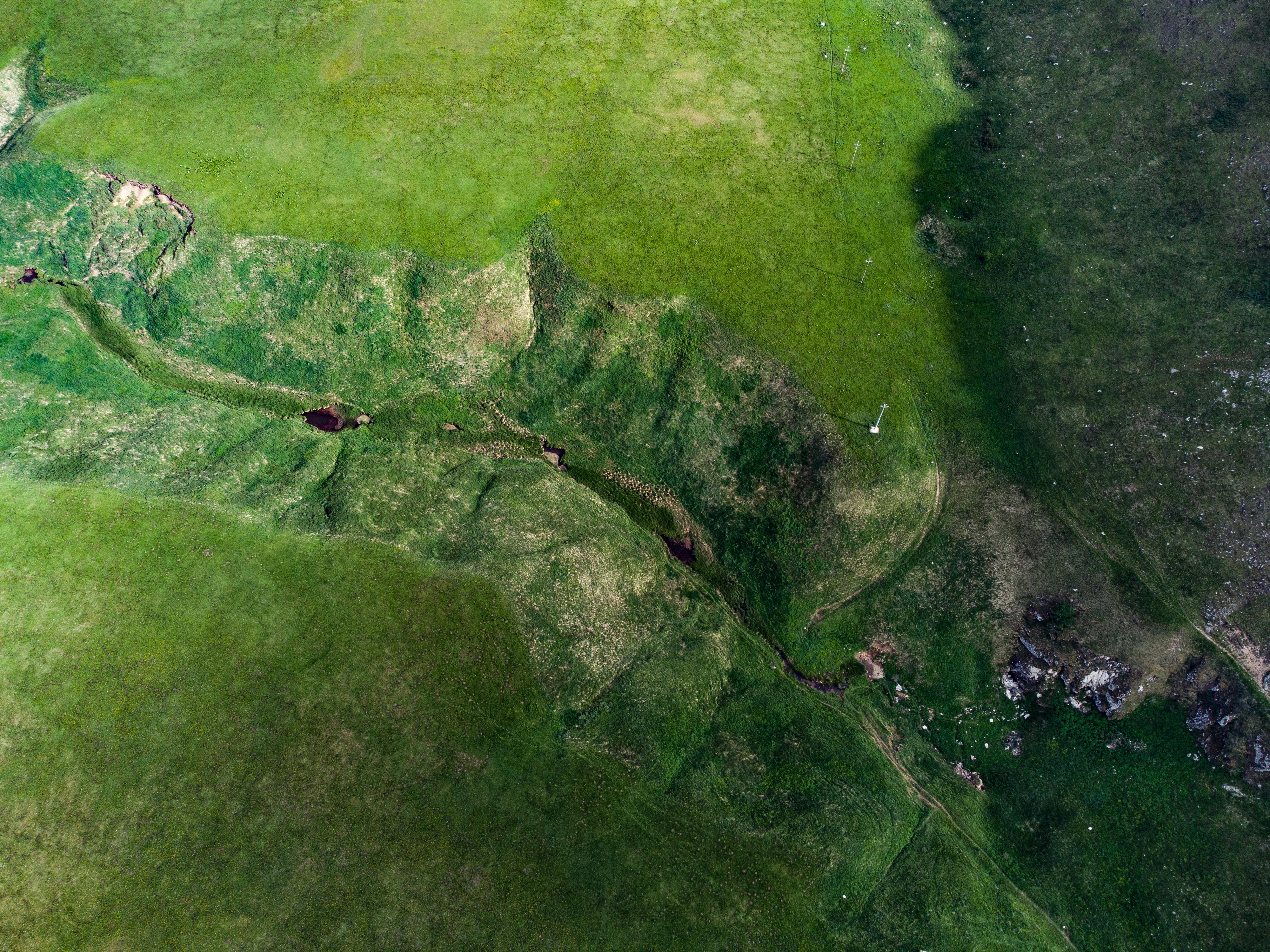 Grassy Field Aerial