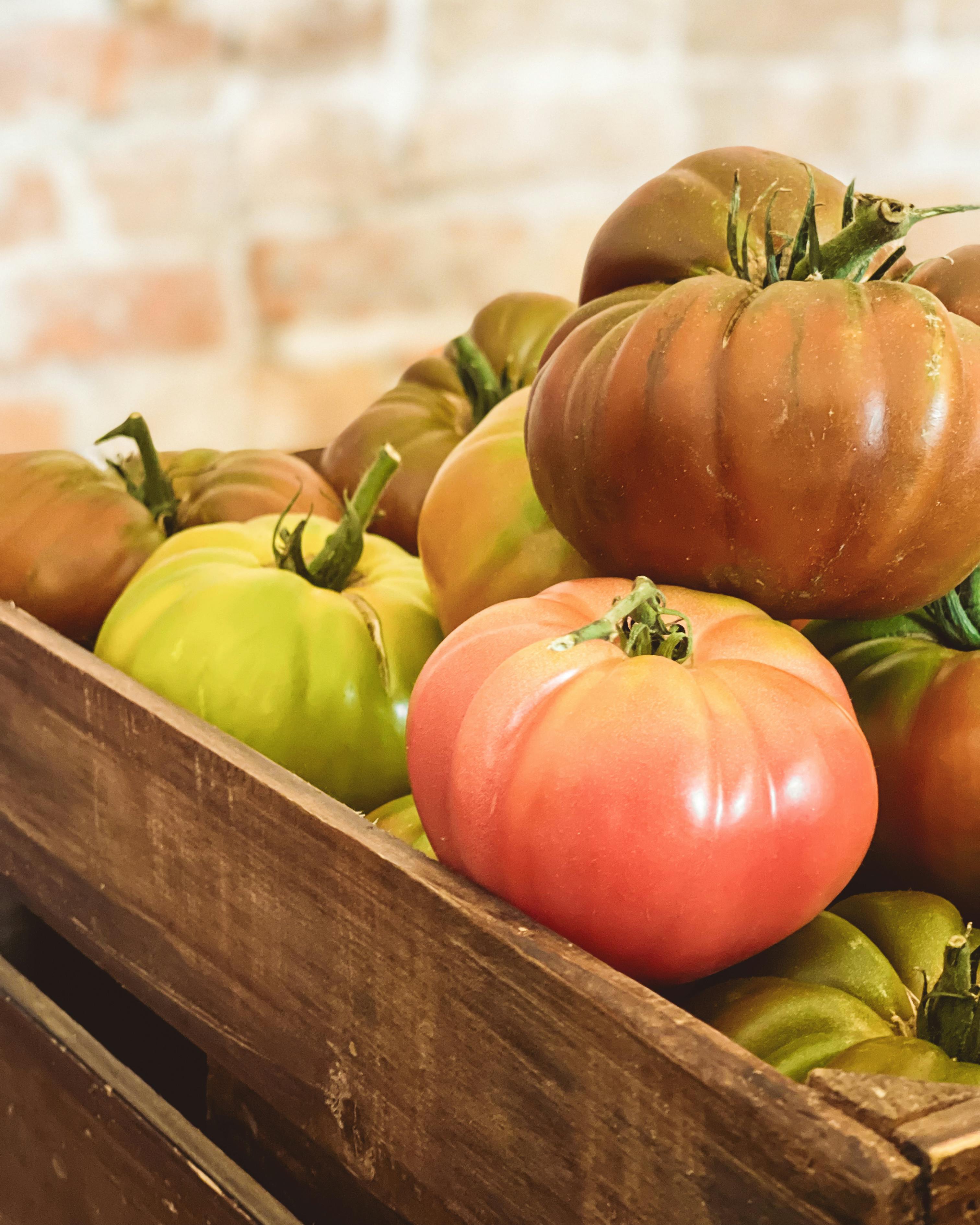 Close-up of Tomatoes on Wooden Table · Free Stock Photo