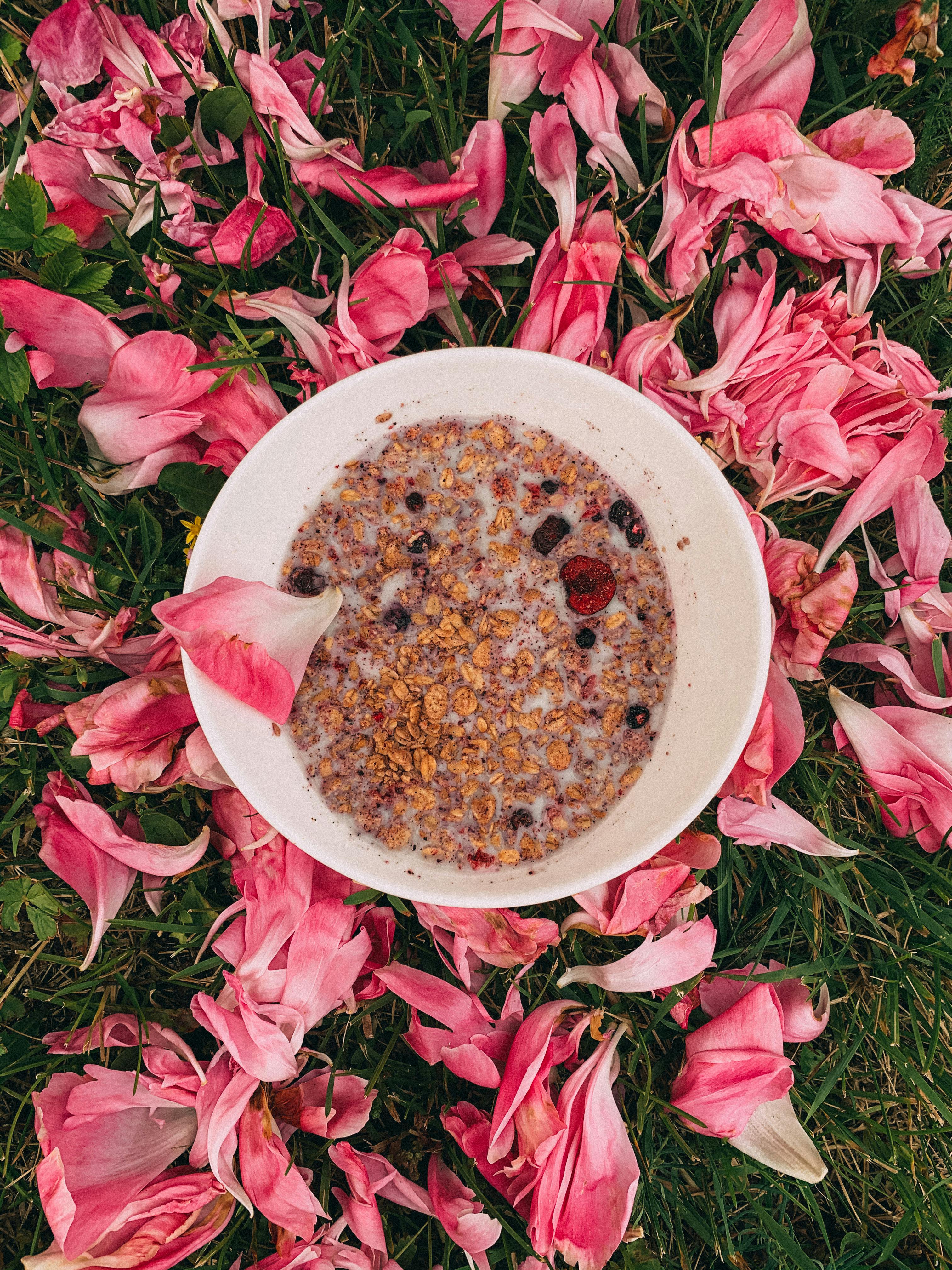 Oats And Rose Photos, Download The BEST Free Oats And Rose Stock Photos ...