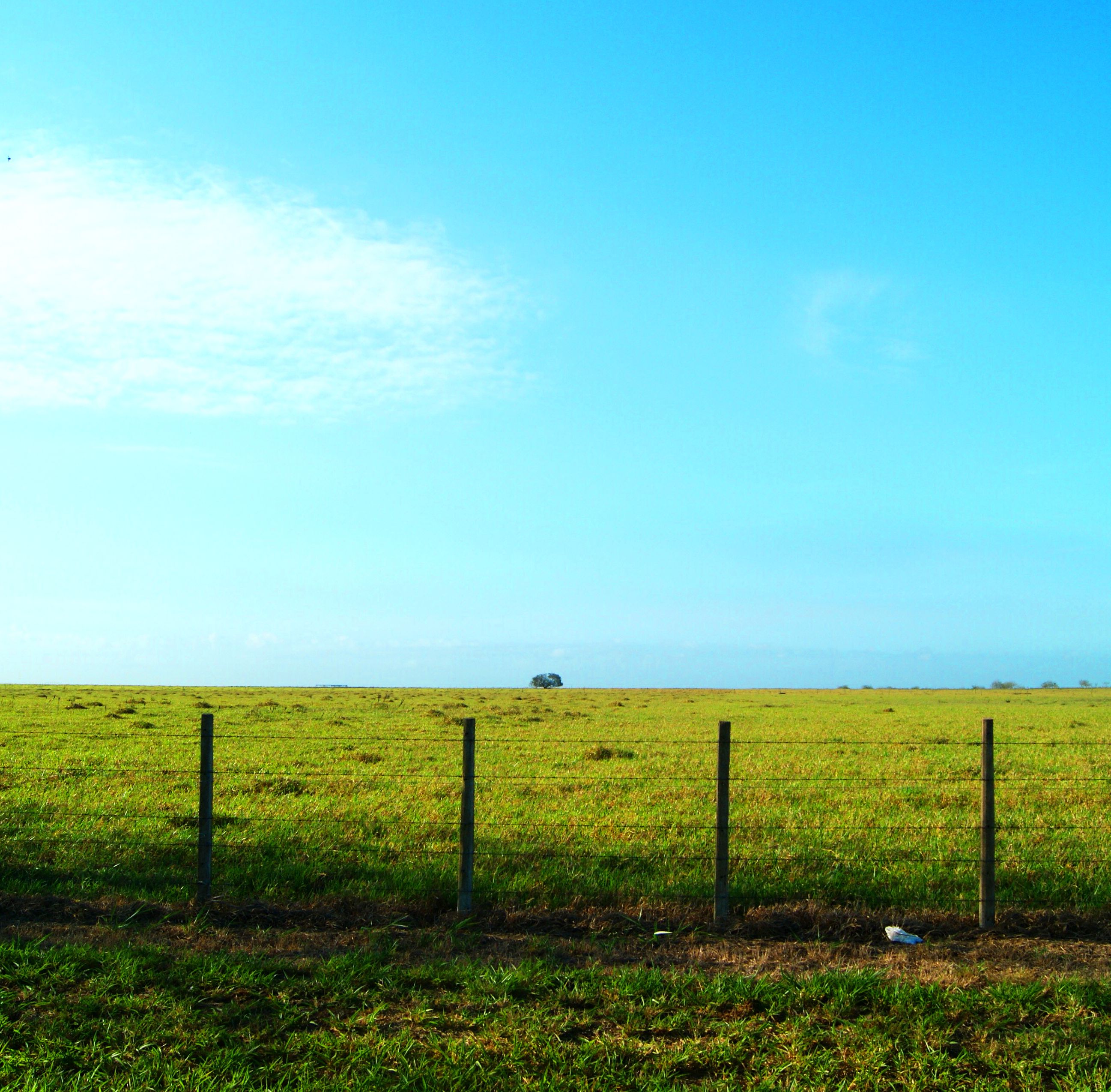 Greenfield Behind Blue Sky · Free Stock Photo