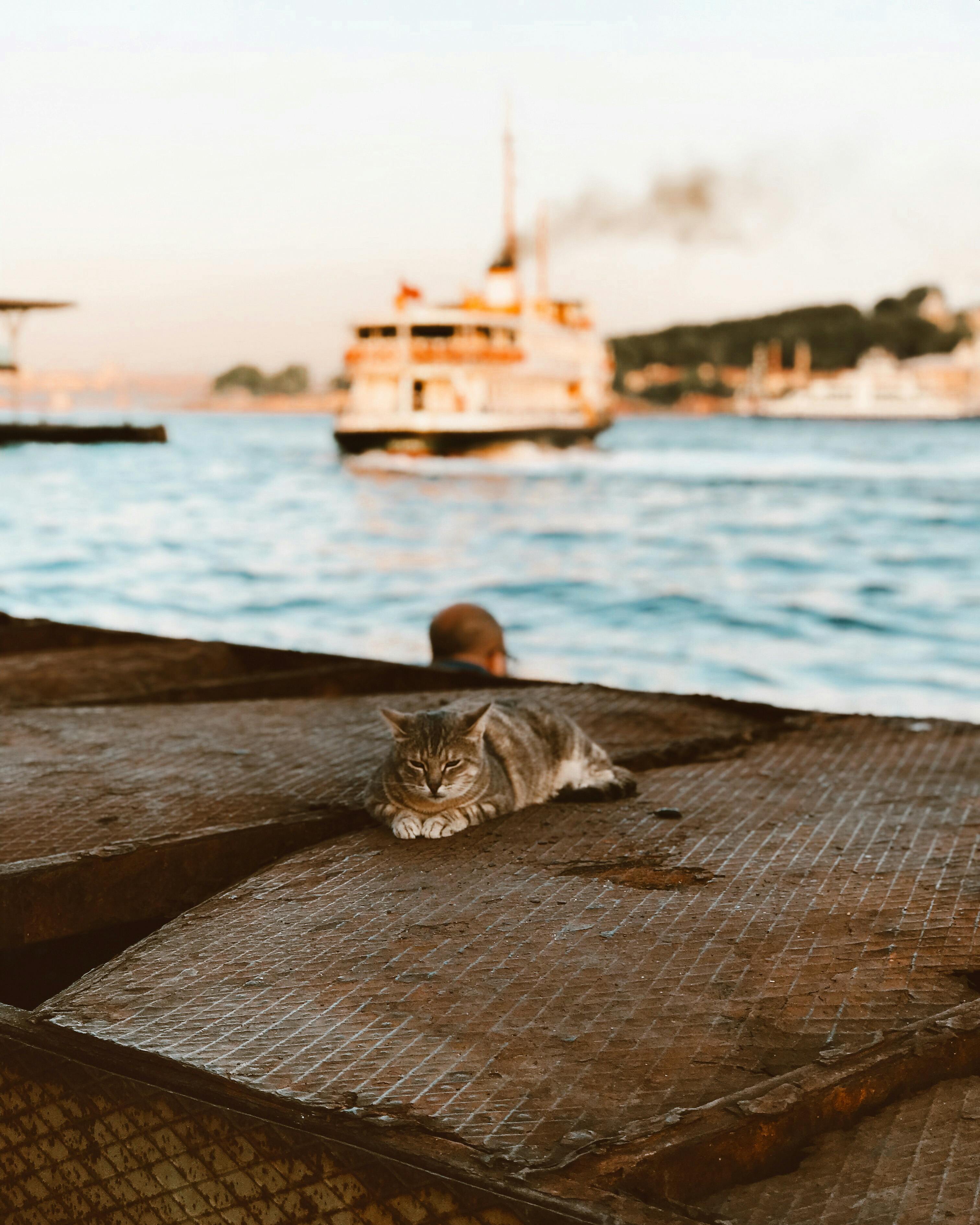 Ship Pipe and Railing · Free Stock Photo