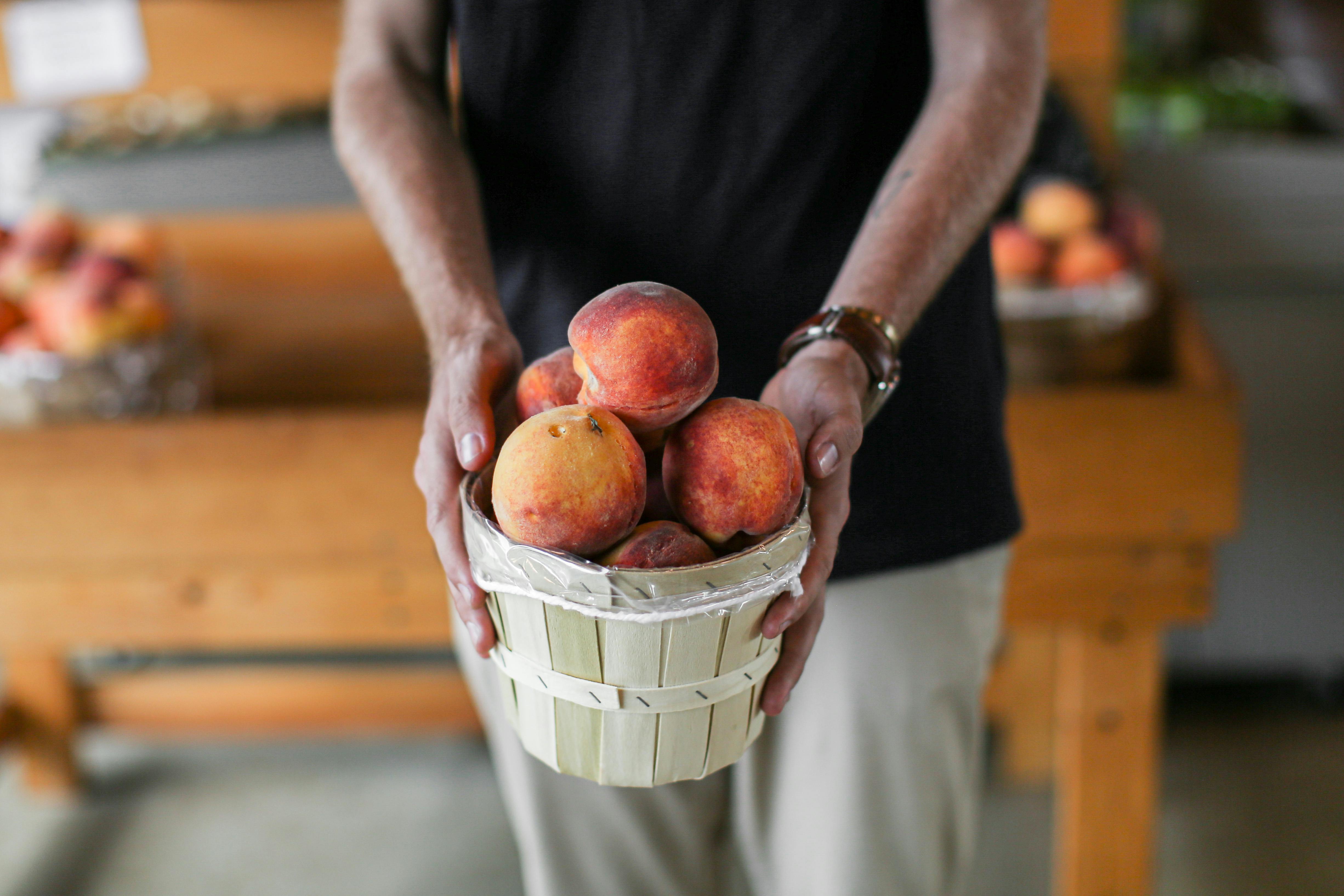 A Person Holding a Basket with Fresh Peaches · Free Stock Photo