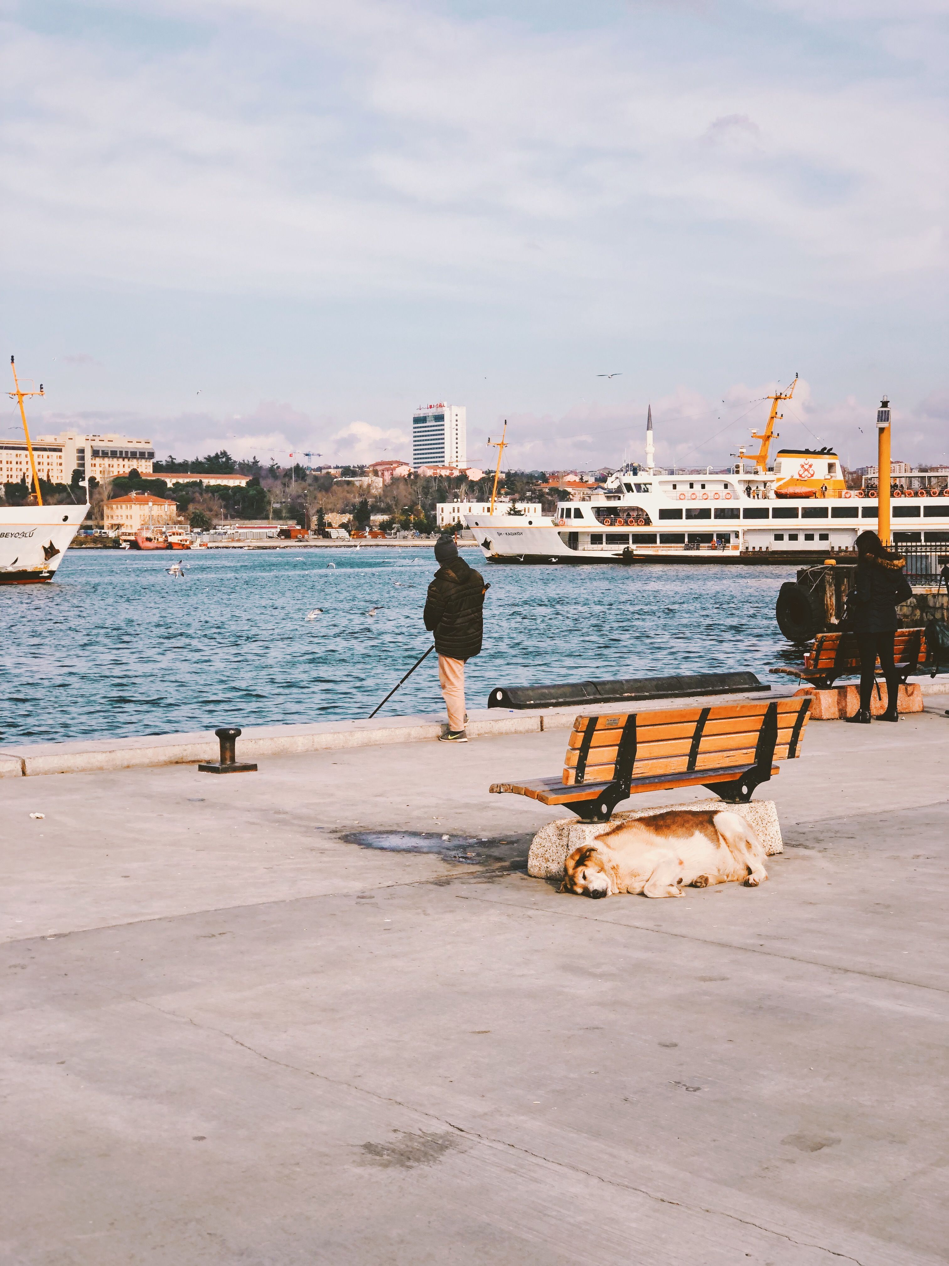 Man Standing at the Edge of a Pier · Free Stock Photo