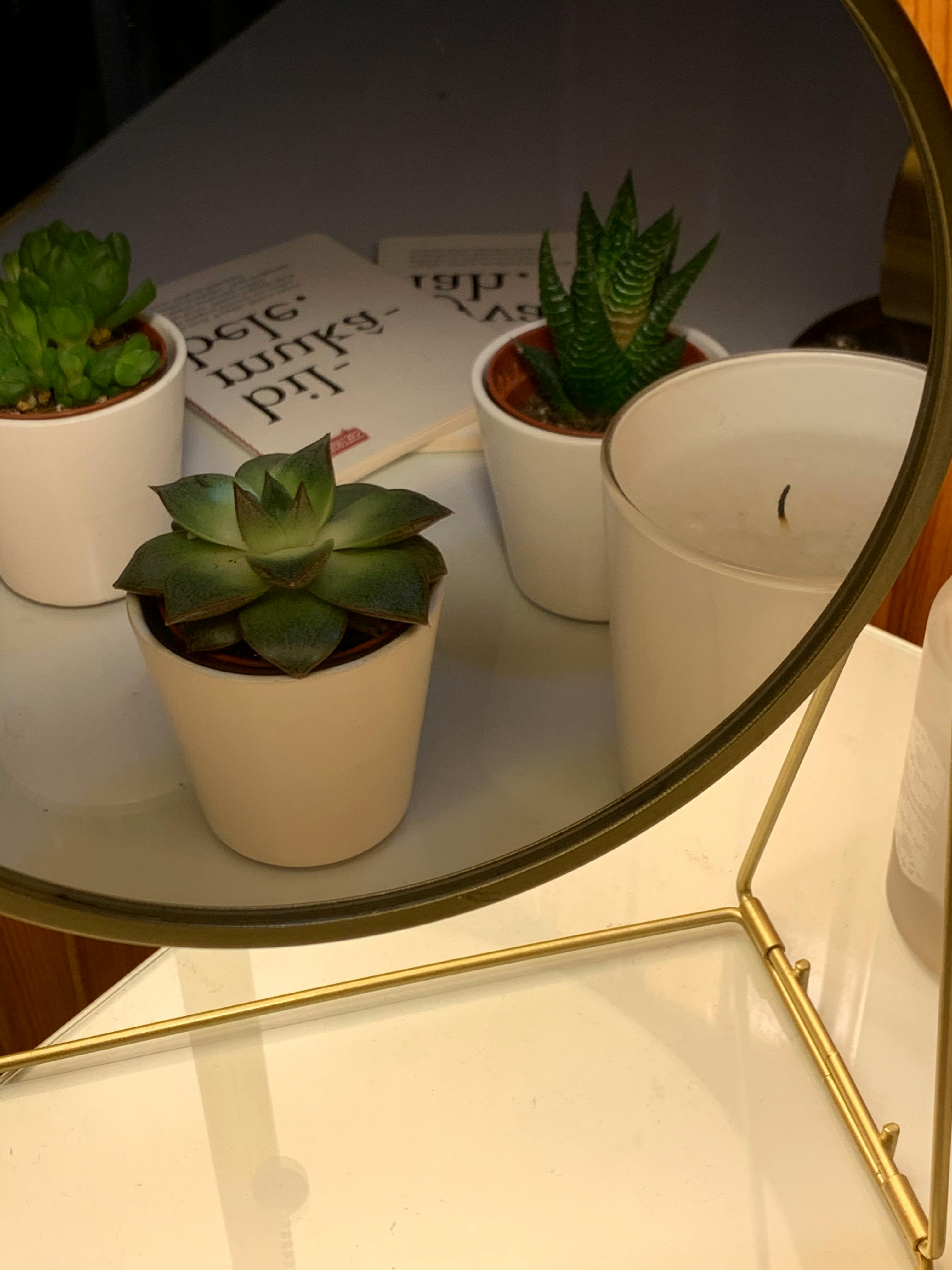 Reflected Objects Photos, Download The BEST Free Reflected Objects ...