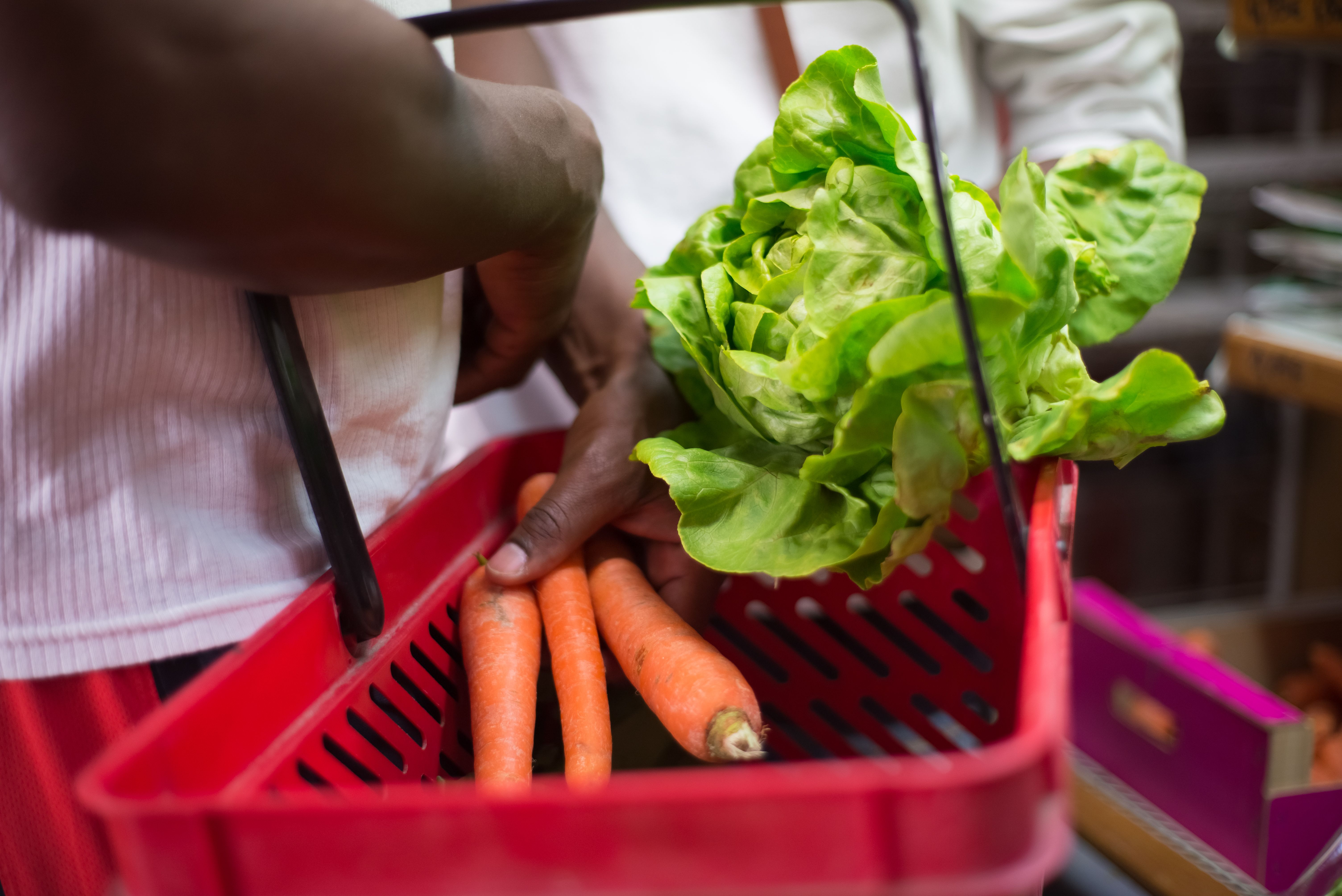 Person Carrying a Red Plastic Basket · Free Stock Photo